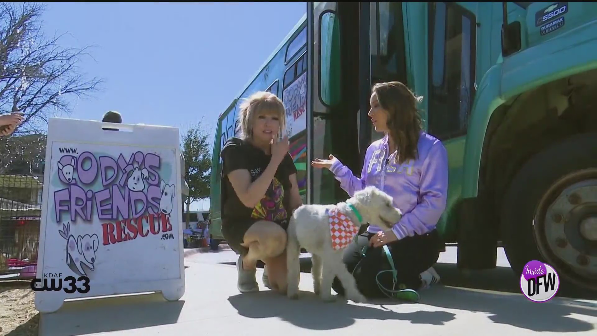 Animal Fun: Cody’s Friends Rescue in Addison – CW33 Dallas / Ft. Worth