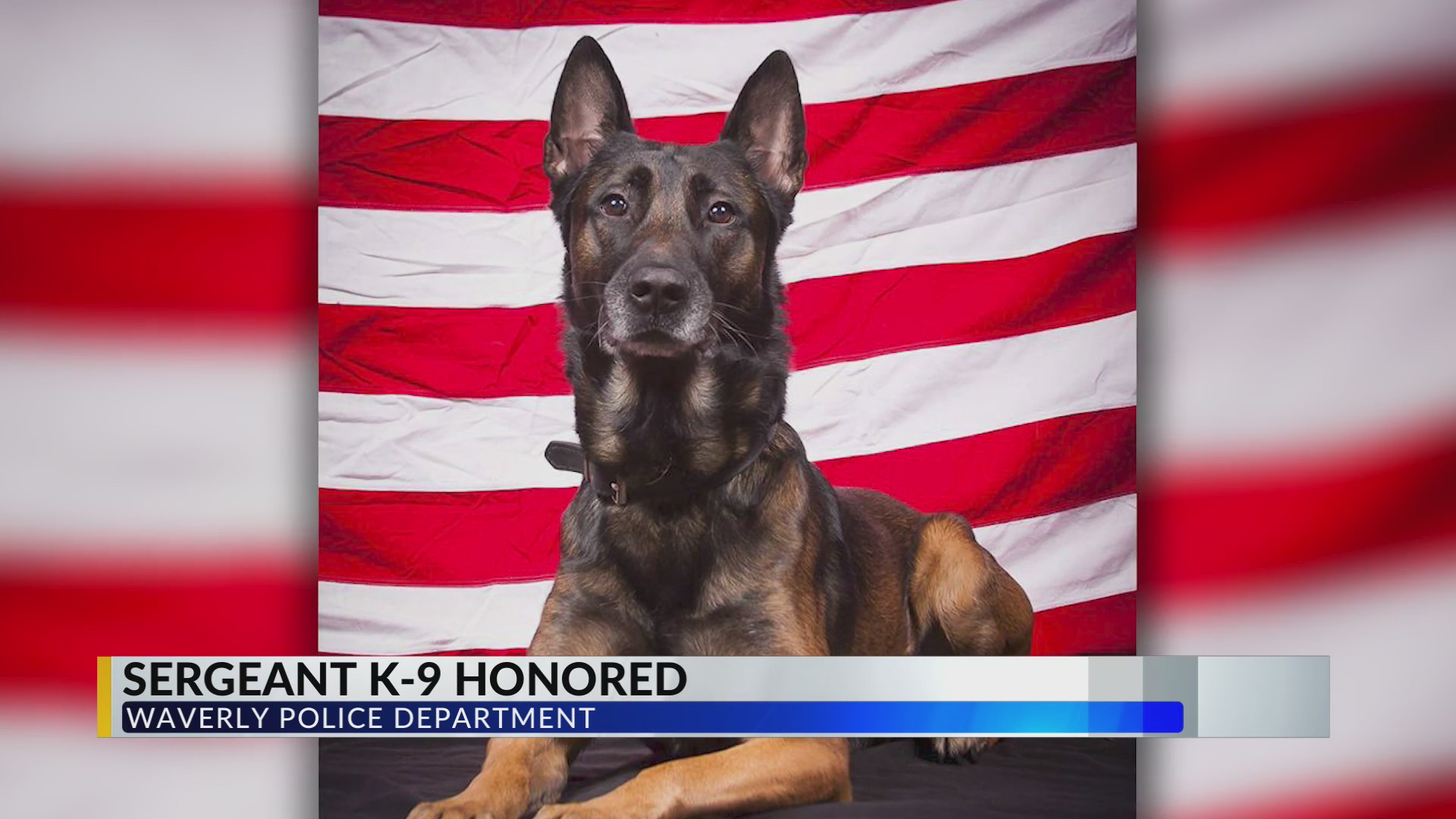 Waverly Police Department mourns passing of Ohio K9 – WOWK 13 News