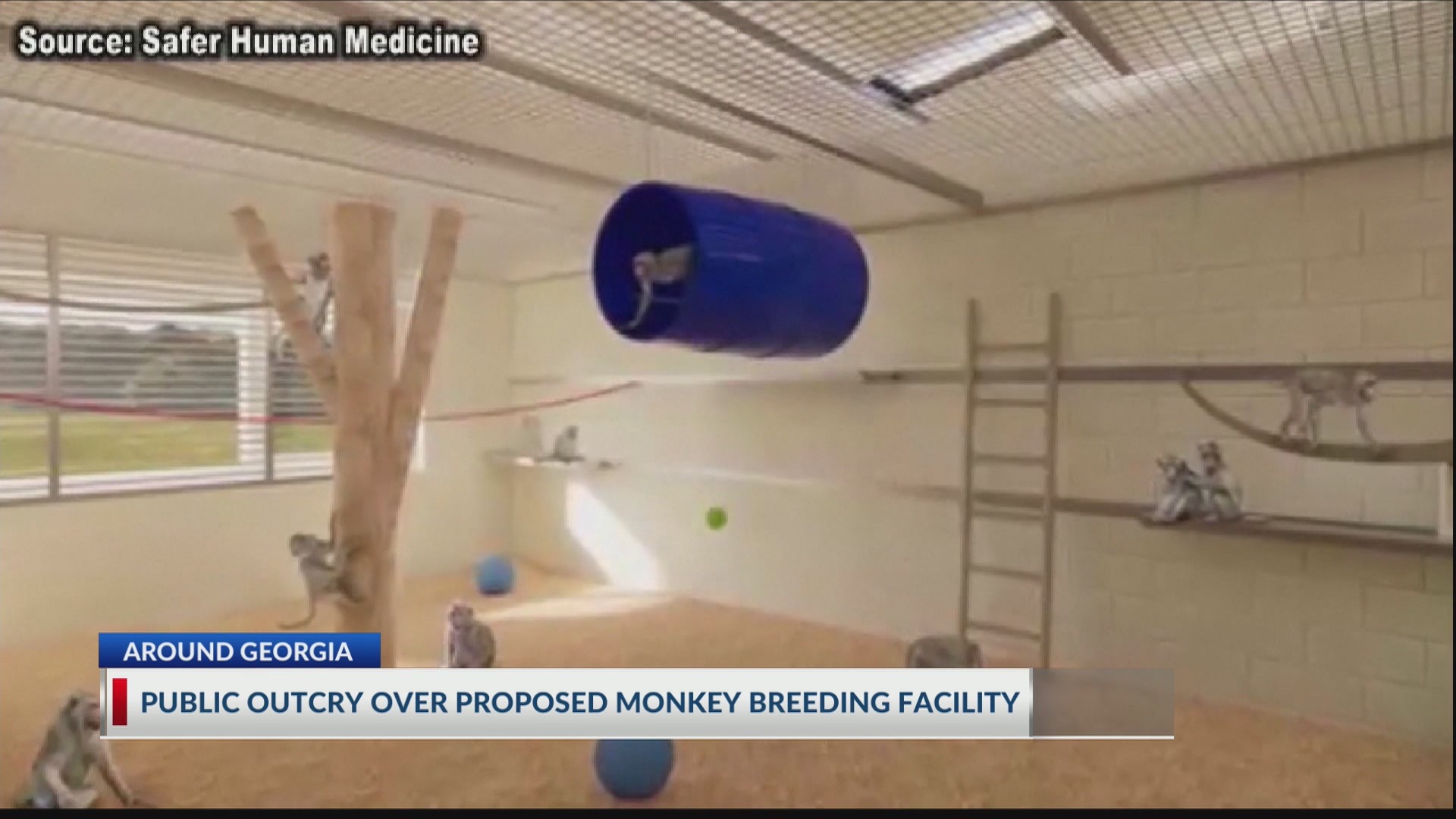 Petition aims to halt proposed monkey breeding facility in Georgia ...