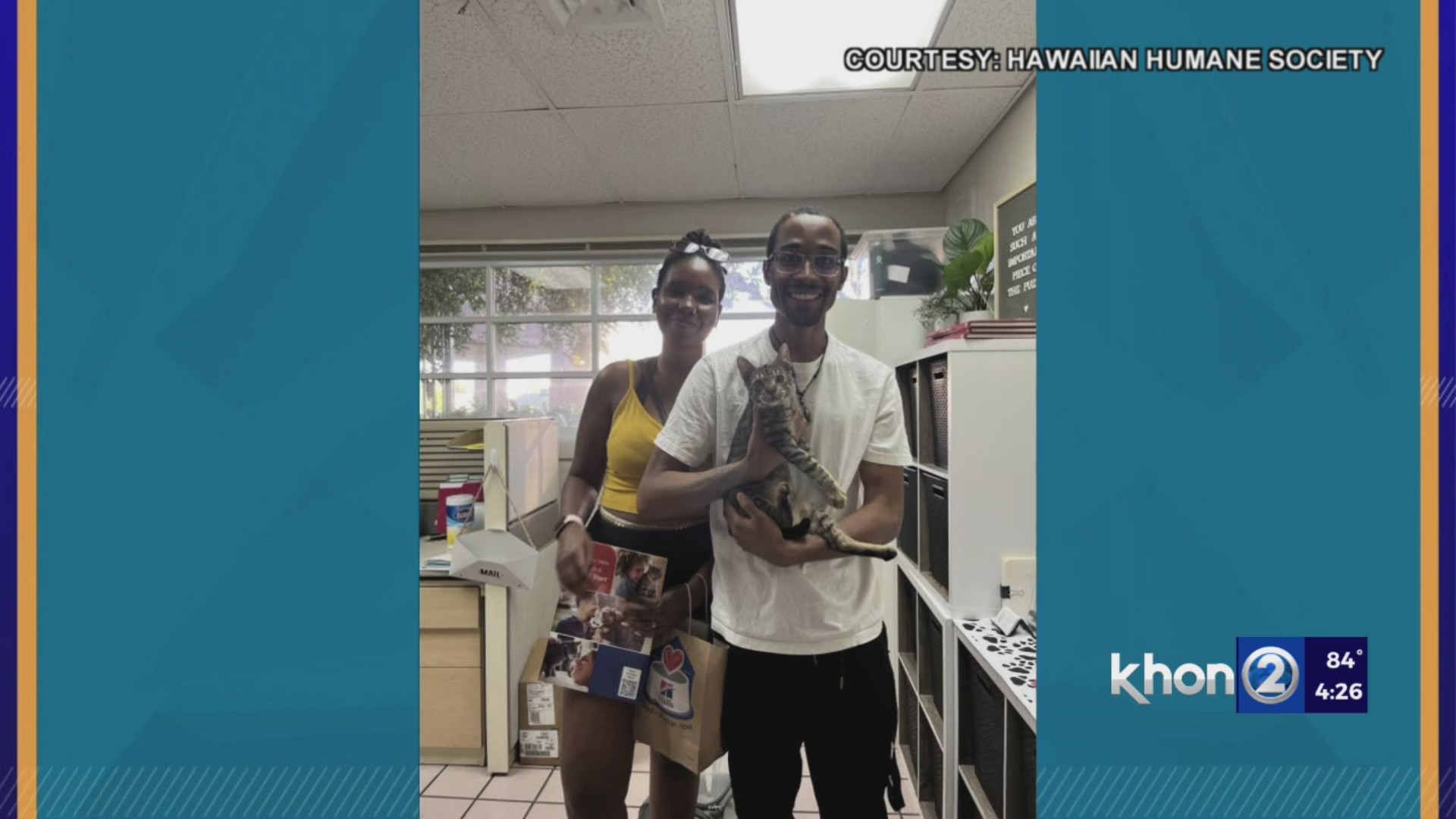 Max the cat finds his fur-ever home – KHON2