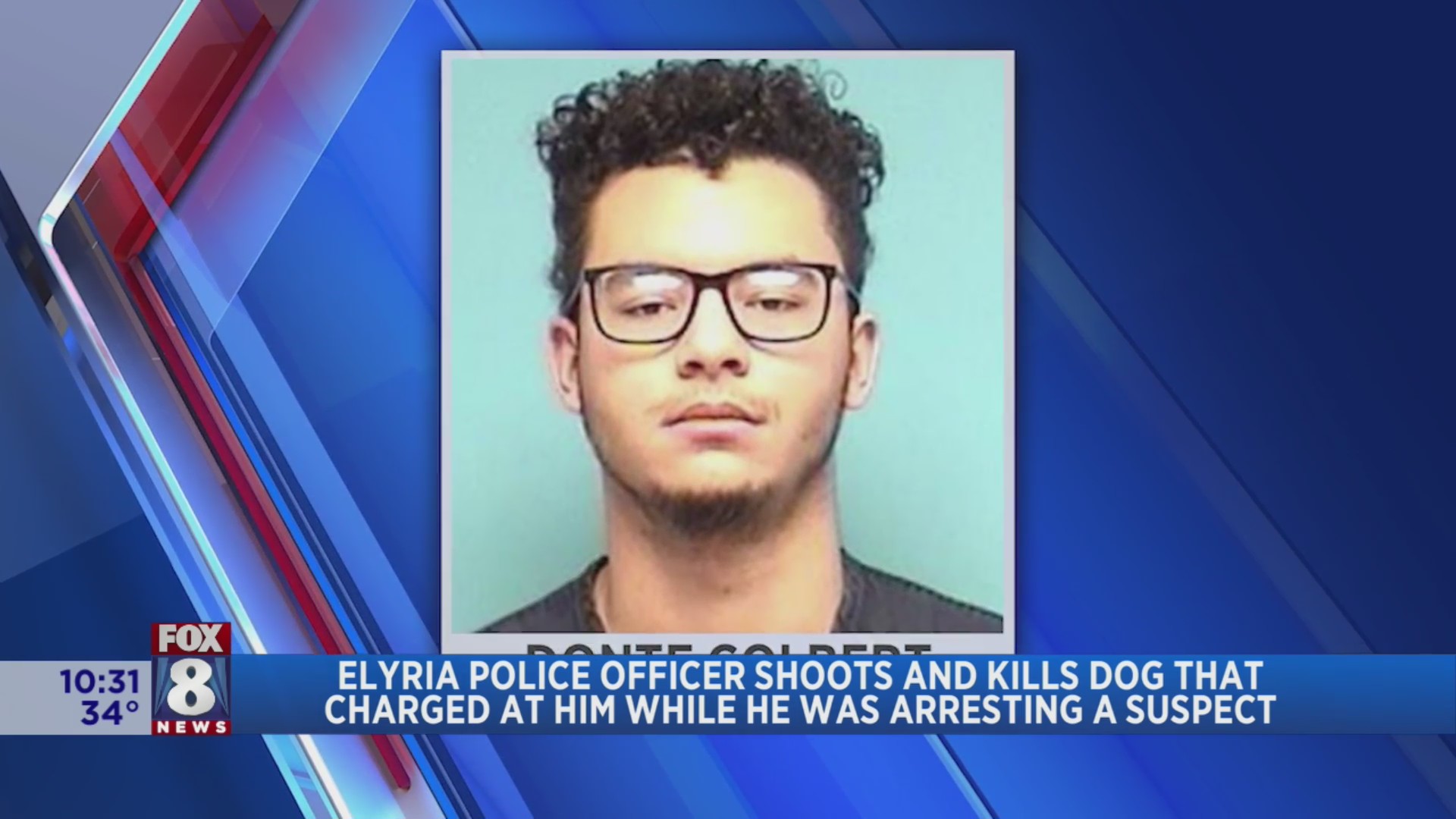 Pitbull shot, killed after Elyria police say it ‘aggressively charged ...