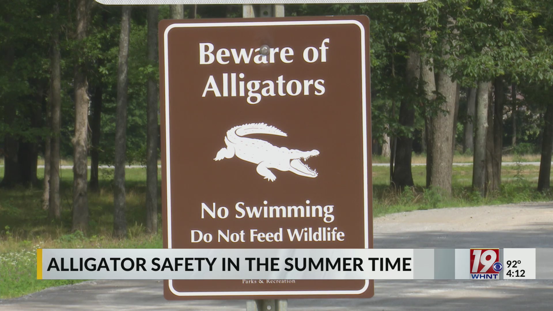 Alligator Safety During the Summer Time | July 12, 2023 | News 19 at 4 ...