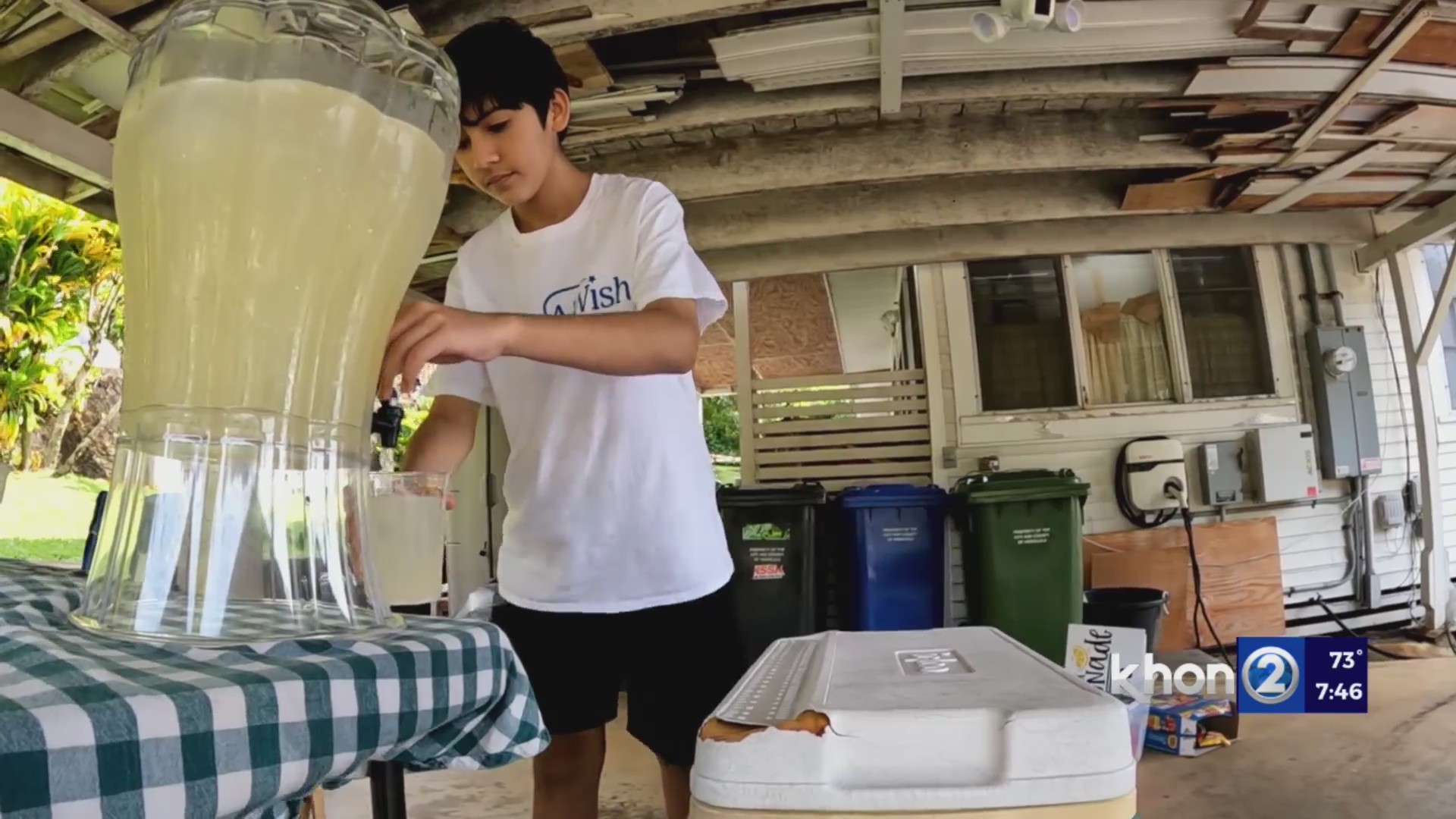 Whiz Kids: Manoa boy on track to raise over $12,000 for Make-A-Wish ...