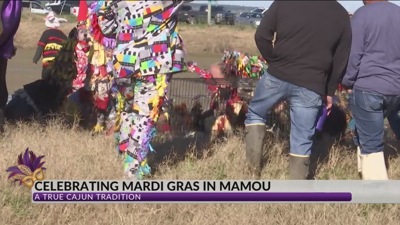 Celebrating Mardi Gras in Mamou – KLFY.com