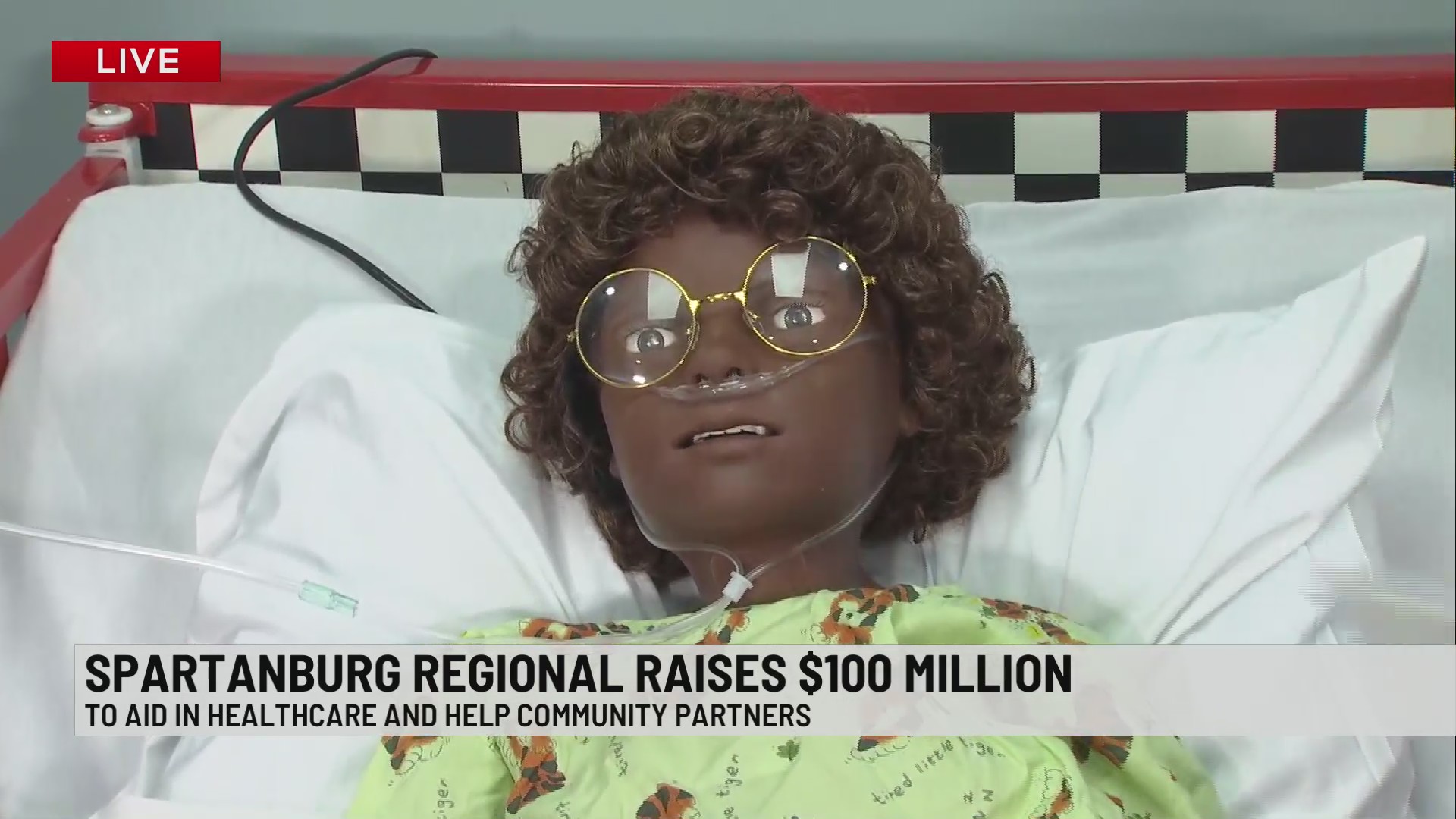 Spartanburg Regional Foundation celebrates $100 million milestone ...