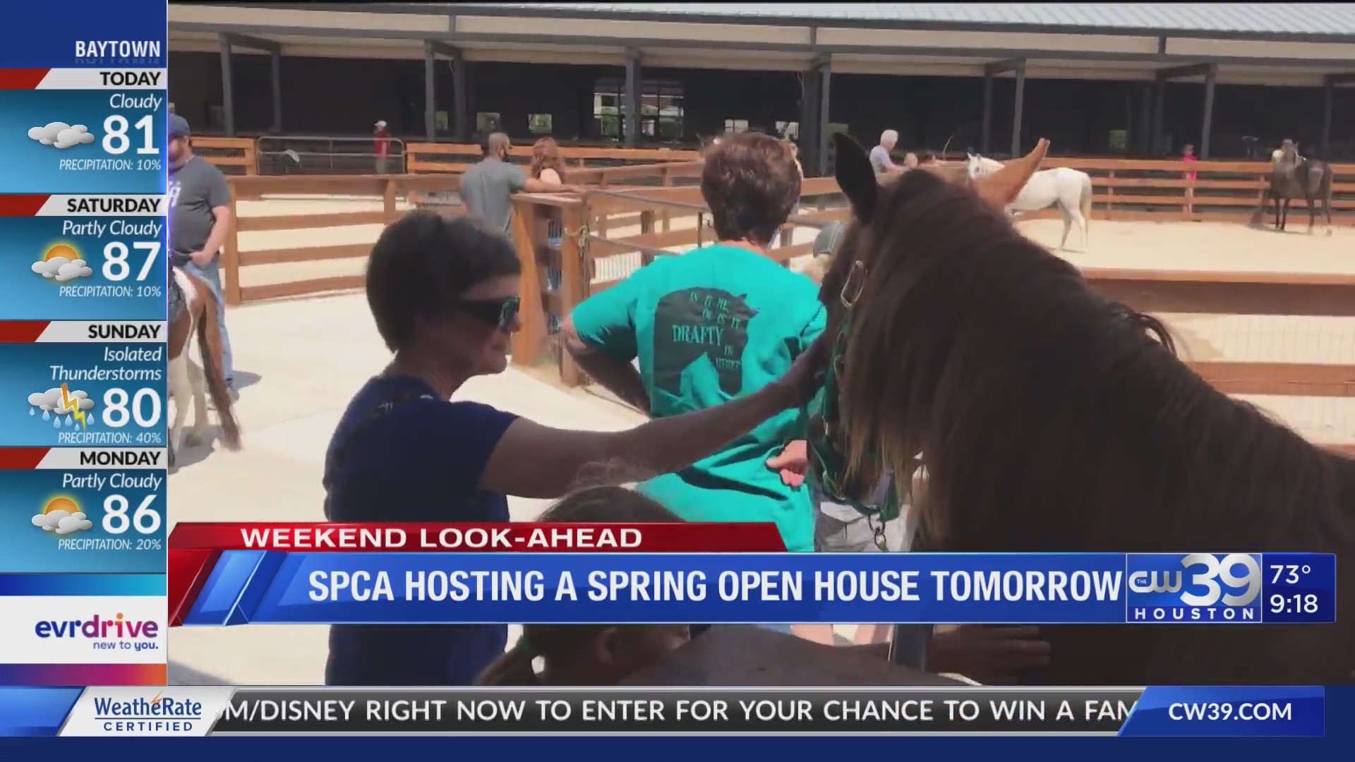 SPCA hosts its Spring open house tomorrow – CW39 Houston