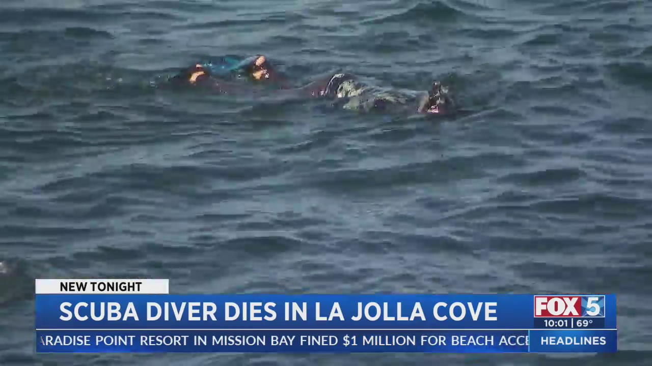 Scuba Diver Dies Off La Jolla Cove – FOX 5 San Diego & KUSI News