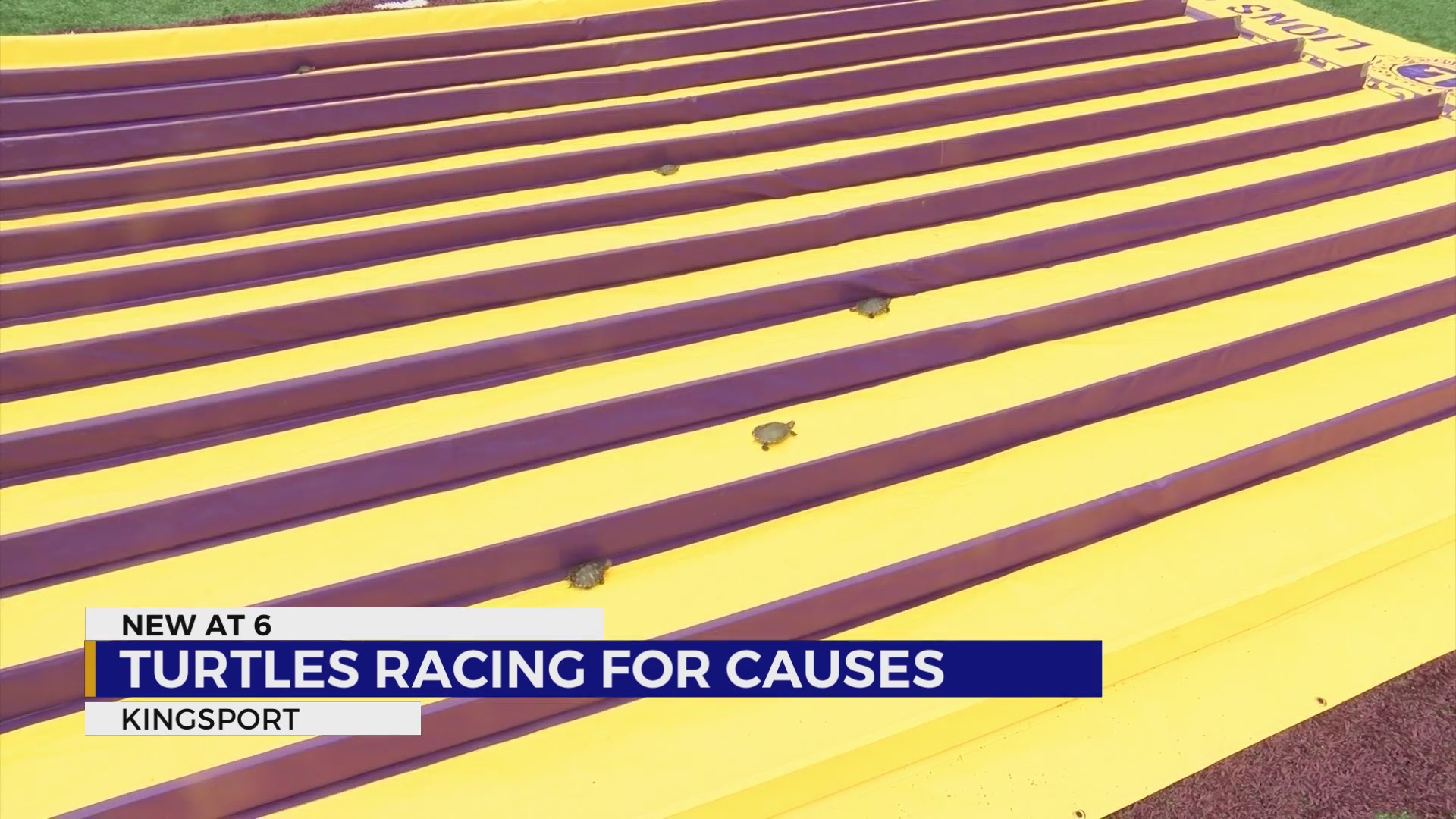 Kingsport Lions Club hosts 77th annual Turtle Derby – WJHL | Tri-Cities ...