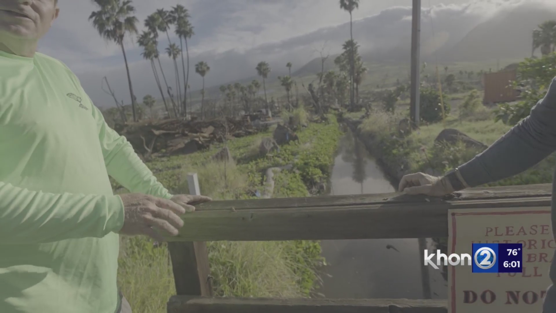 Nature reclaiming Lahaina even after 96% of trees lost in fire – KHON2