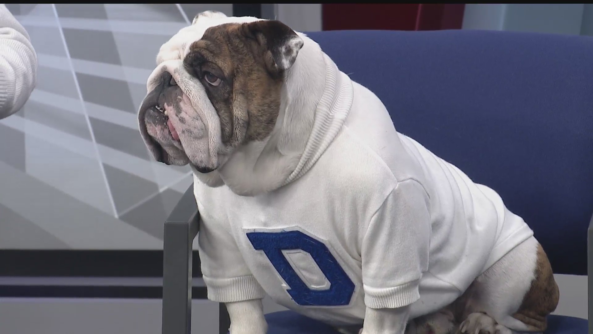 Griff shares how fans can support Drake men’s, women’s basketball teams ...