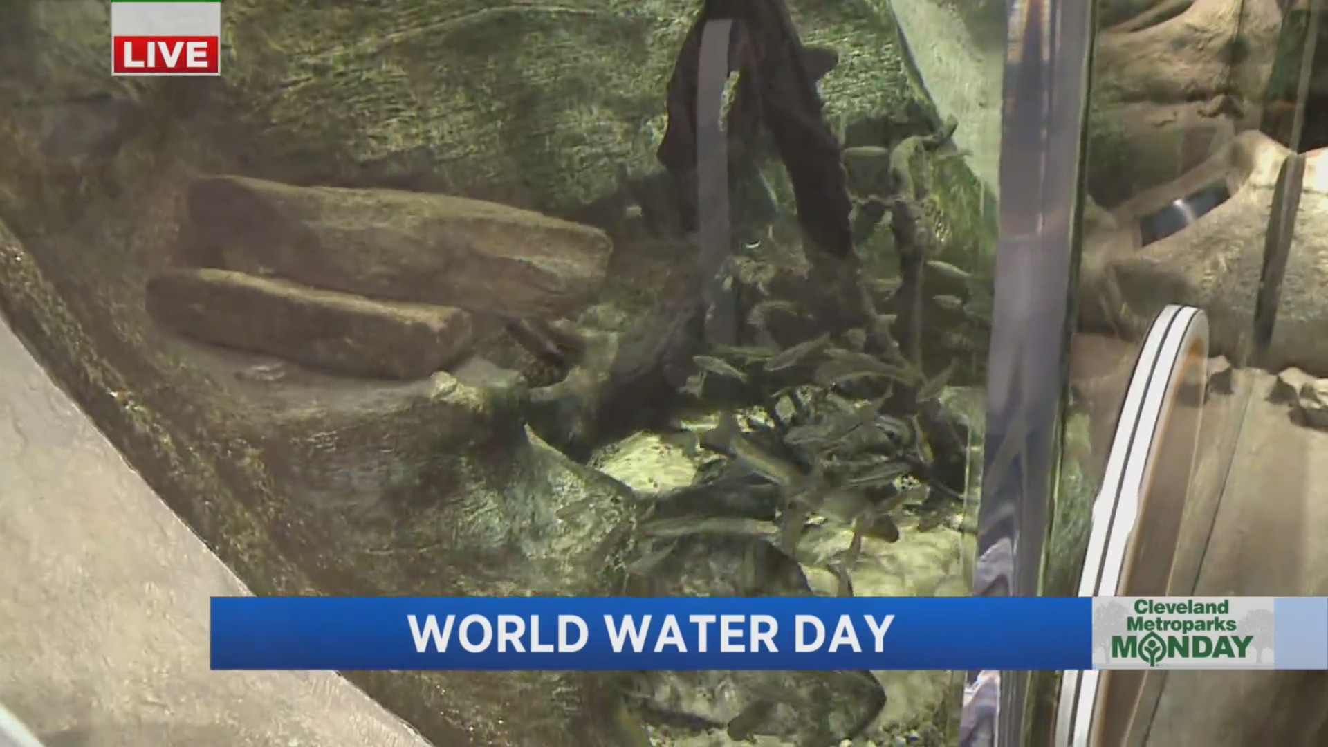 Celebrate all things H20 on World Water Day – Fox 8 Cleveland WJW