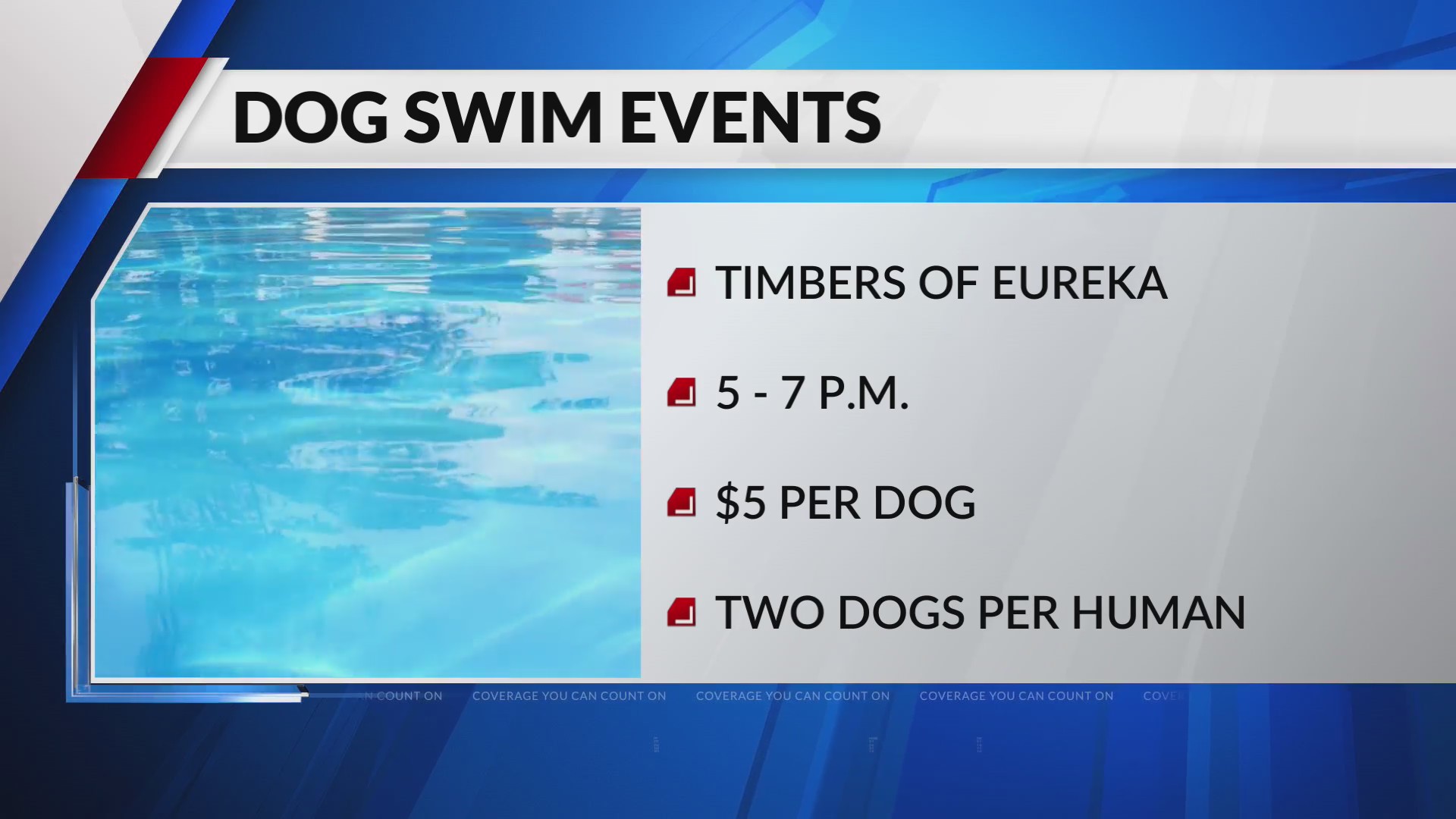 More dog swimming events going on today – FOX 2