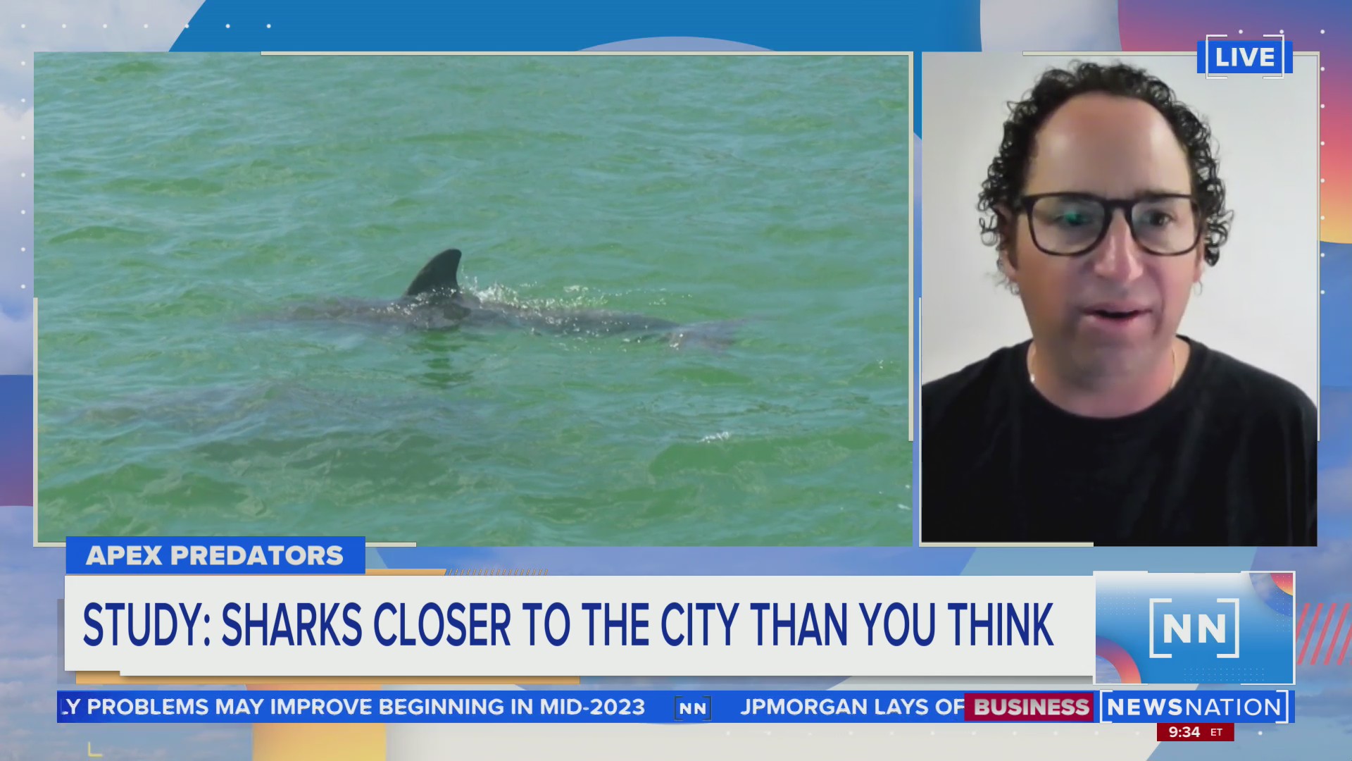 Study finds sharks swim near urban areas often | Morning in America ...