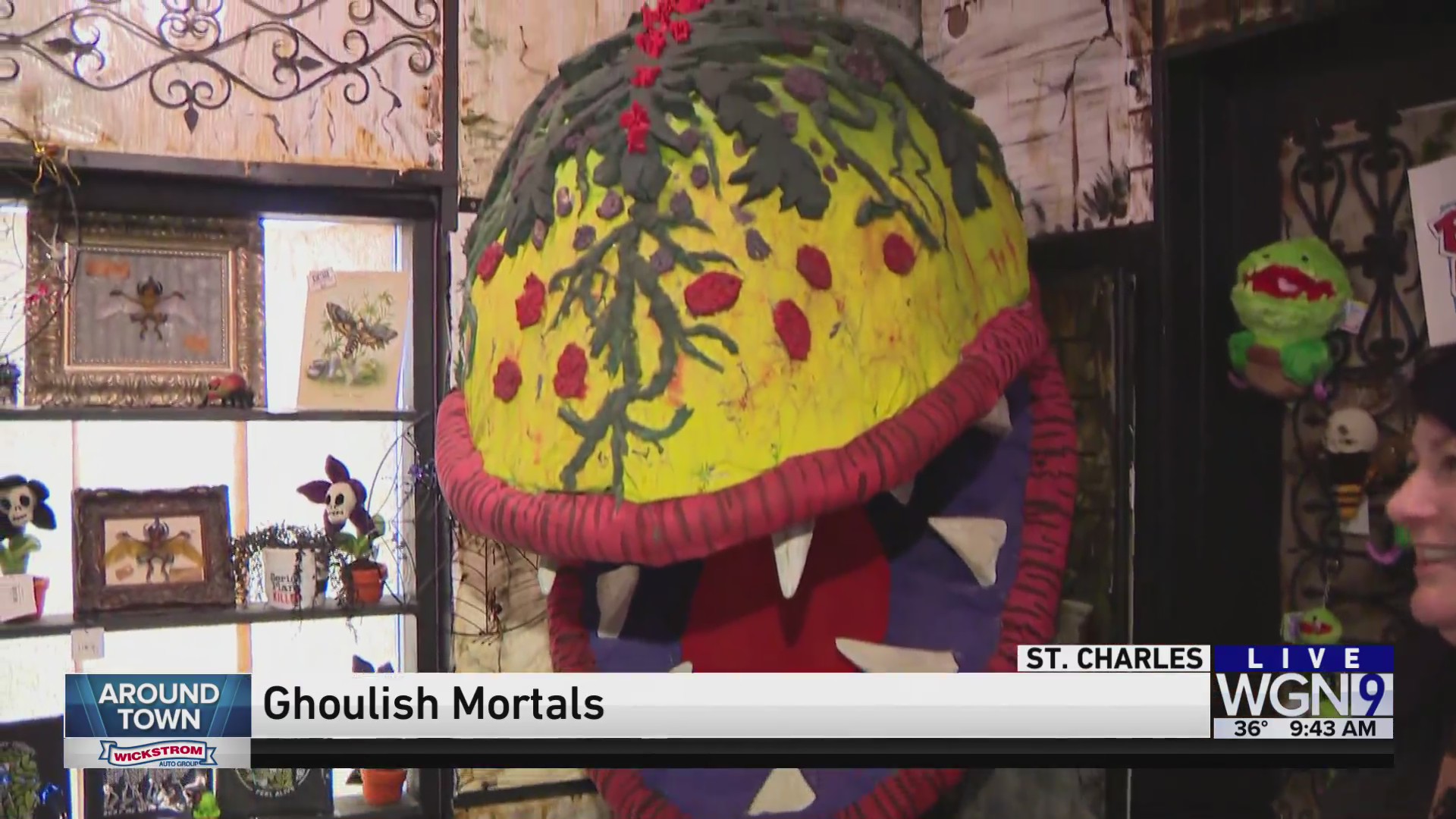Around Town – Ghoulish Mortals Horror and Monster Store – WGN-TV