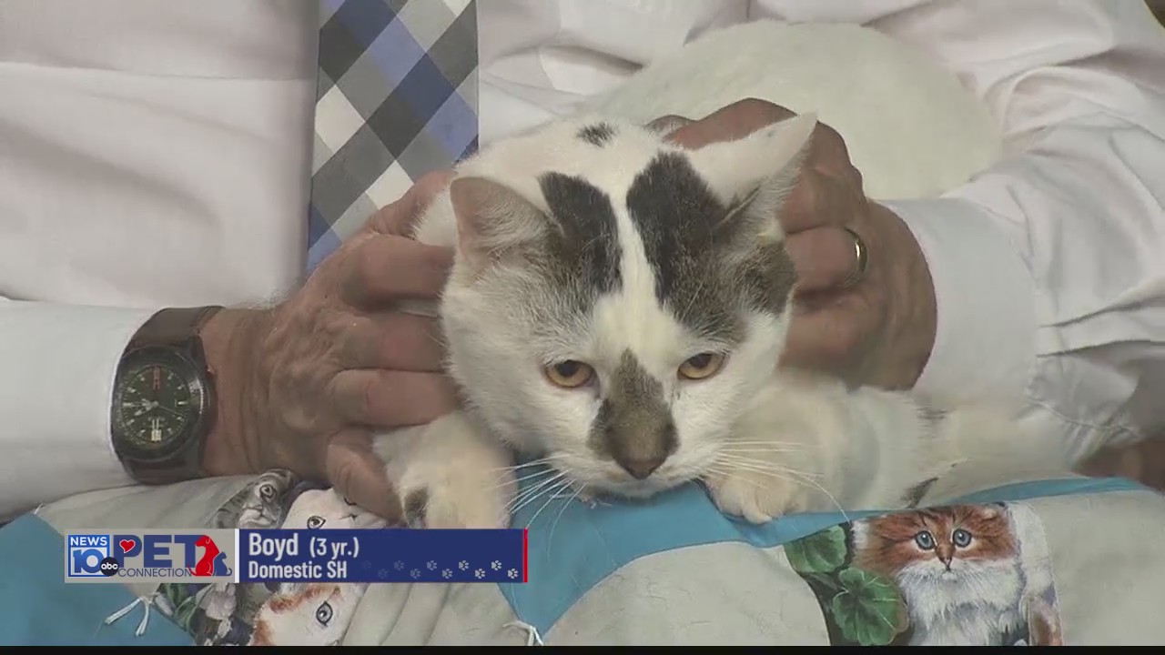 Boyd – NEWS10 ABC