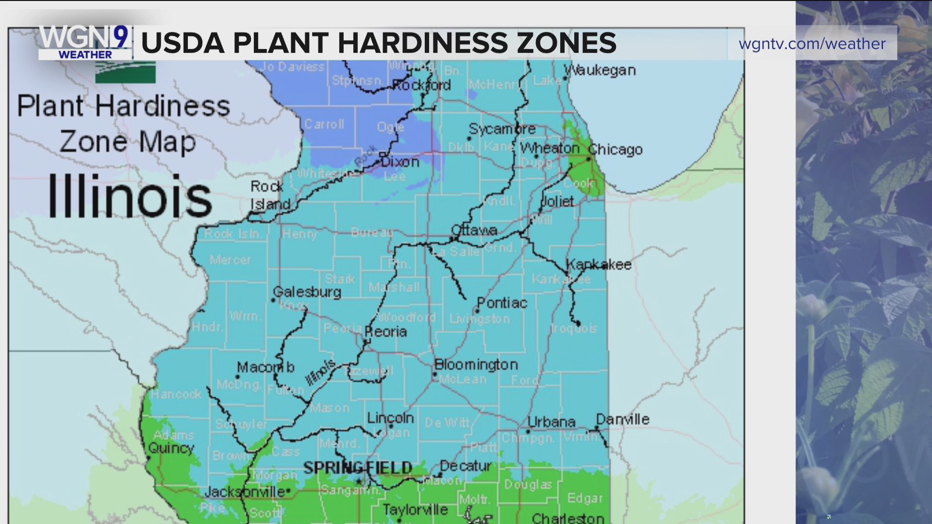 Weekend Gardening with Tim Joyce: May ‘To-Do List’ – WGN-TV