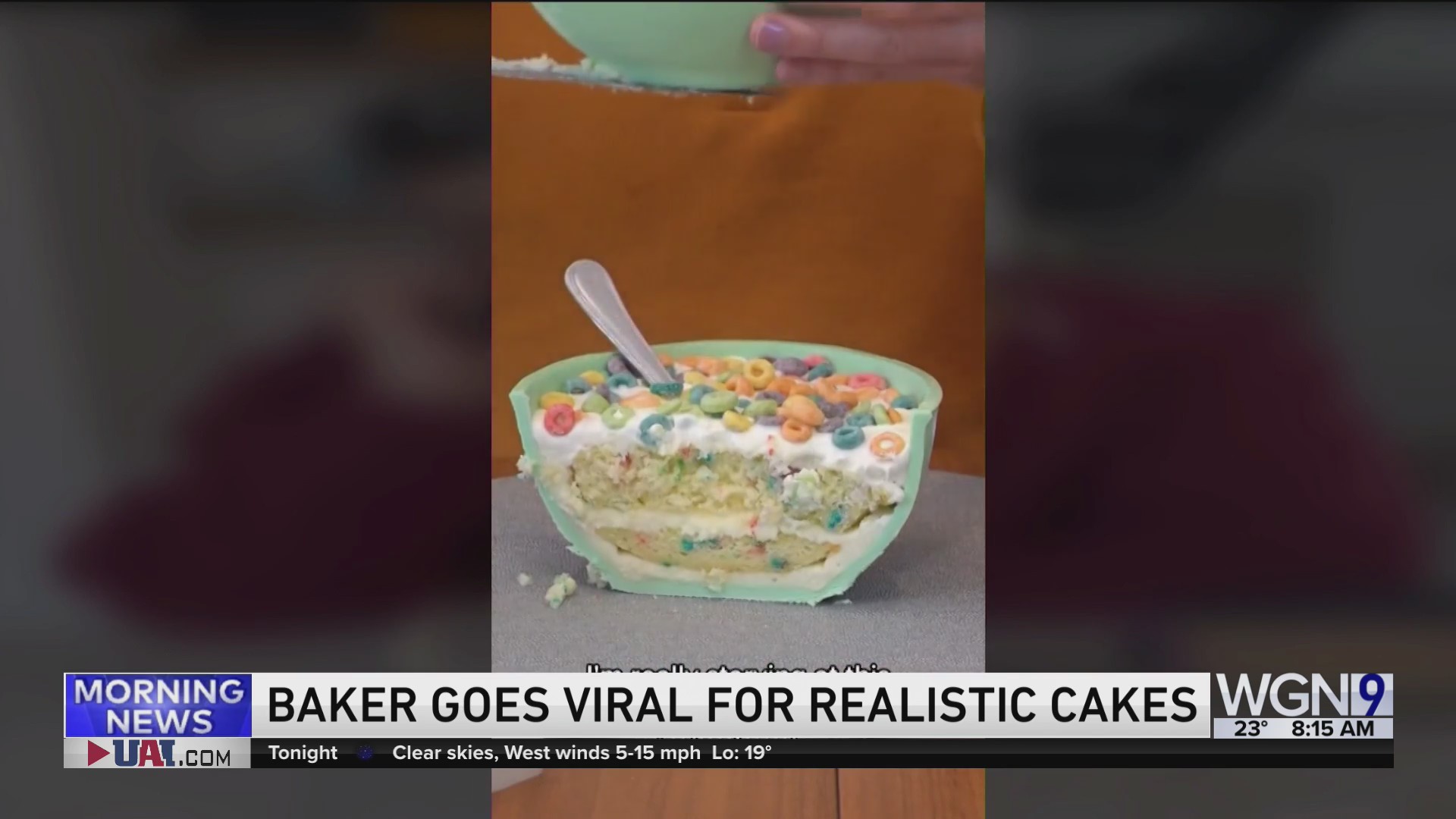 Baker Goes Viral for Hyper Realistic Cakes! – WGN-TV