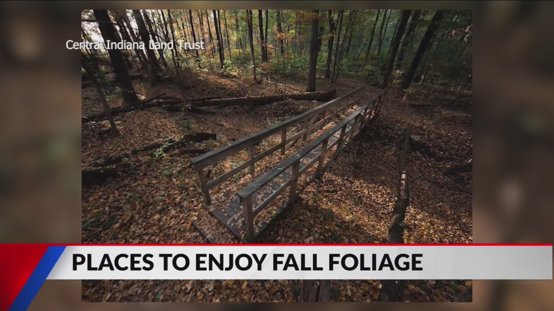 Places to enjoy fall foliage in central Indiana – Fox 59