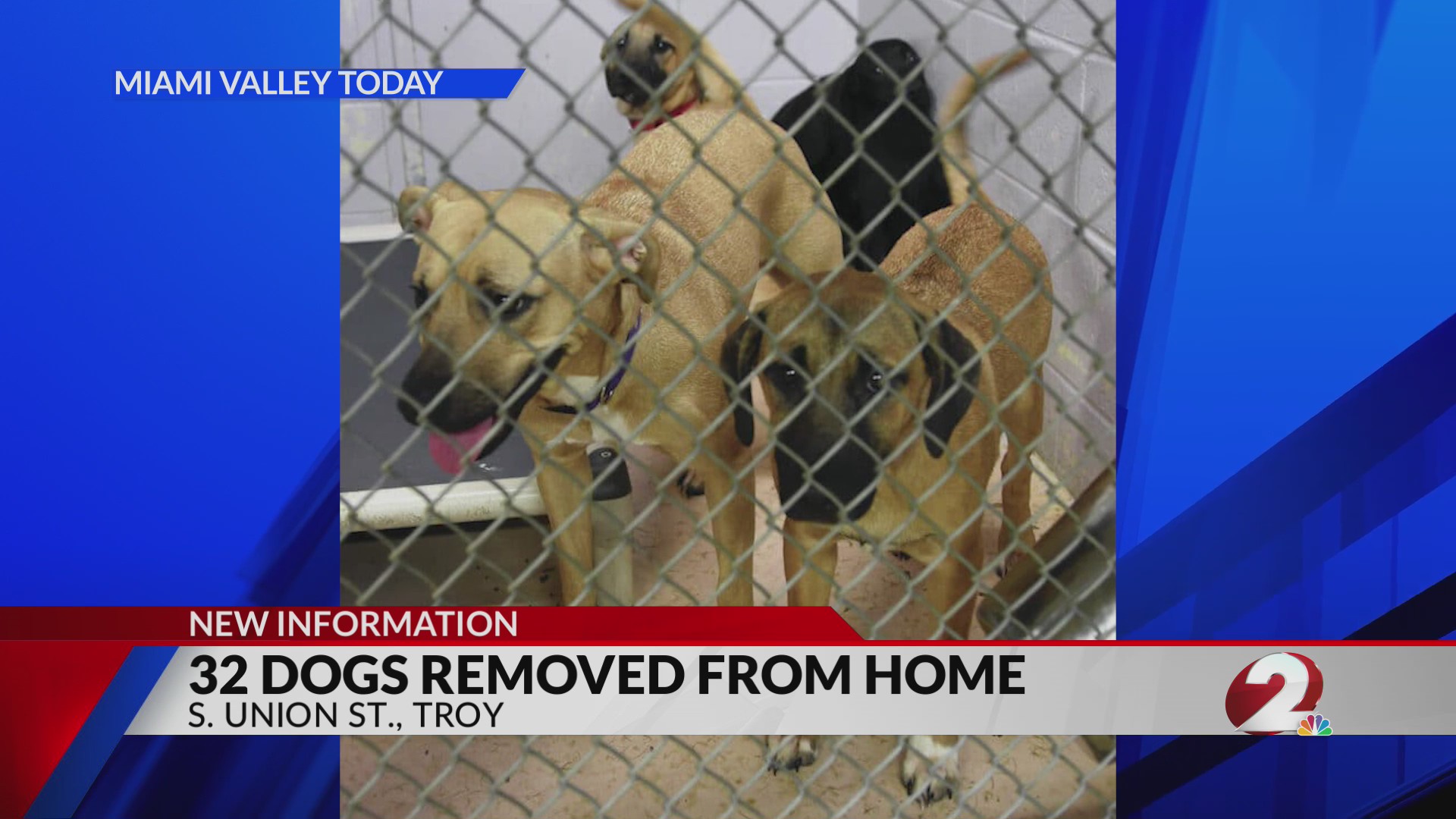 32 dogs removed from Troy home – WDTN.com