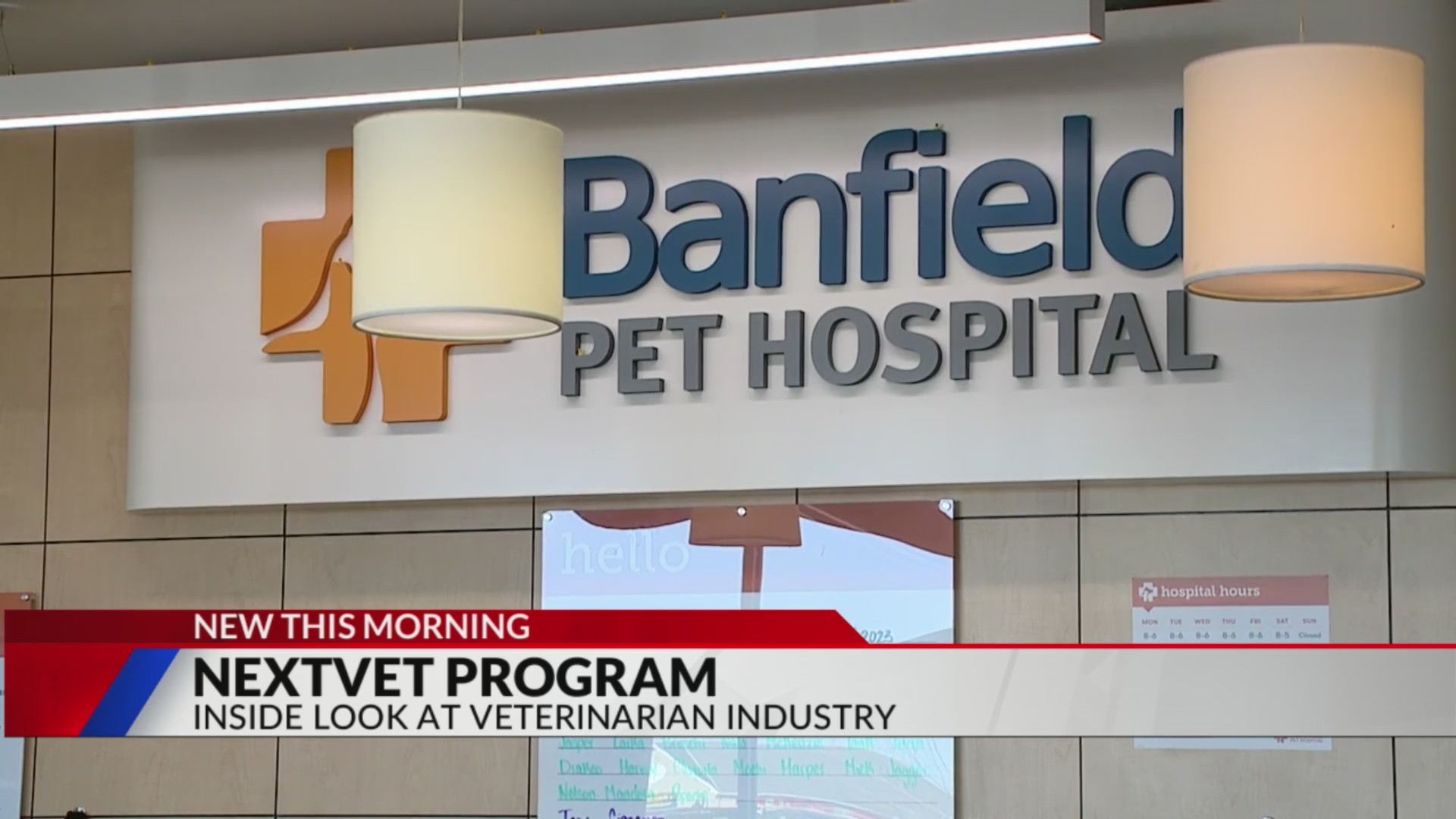 Vet hospital offering internships to combat veterinarian shortage ...