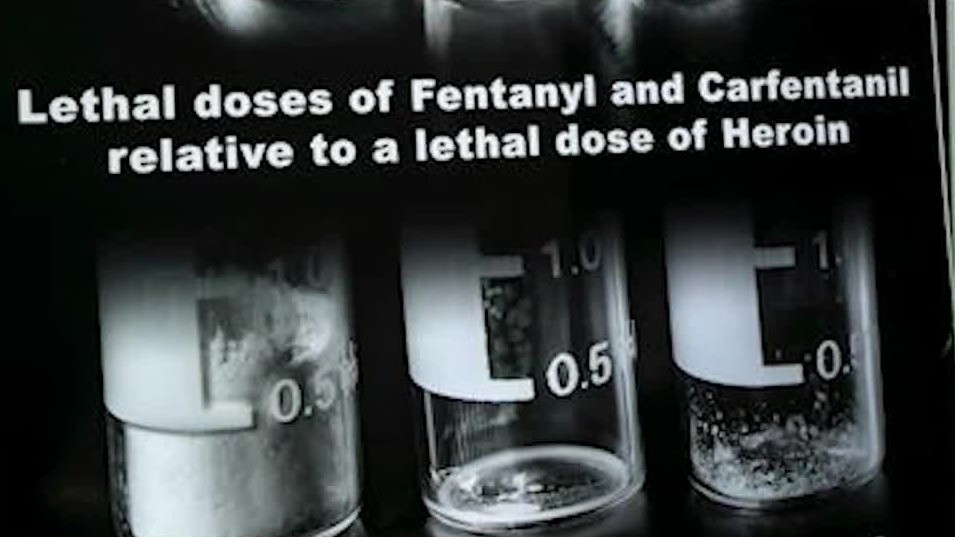 Carfentanil overdoses on the rise in Vanderburgh County – Eyewitness ...