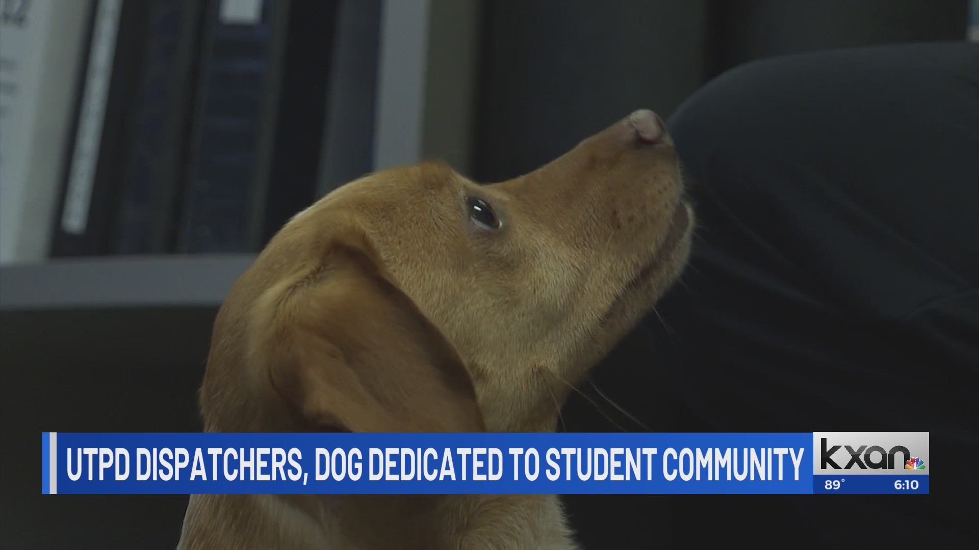 UTPD dispatchers, dog serve campus community – KXAN Austin