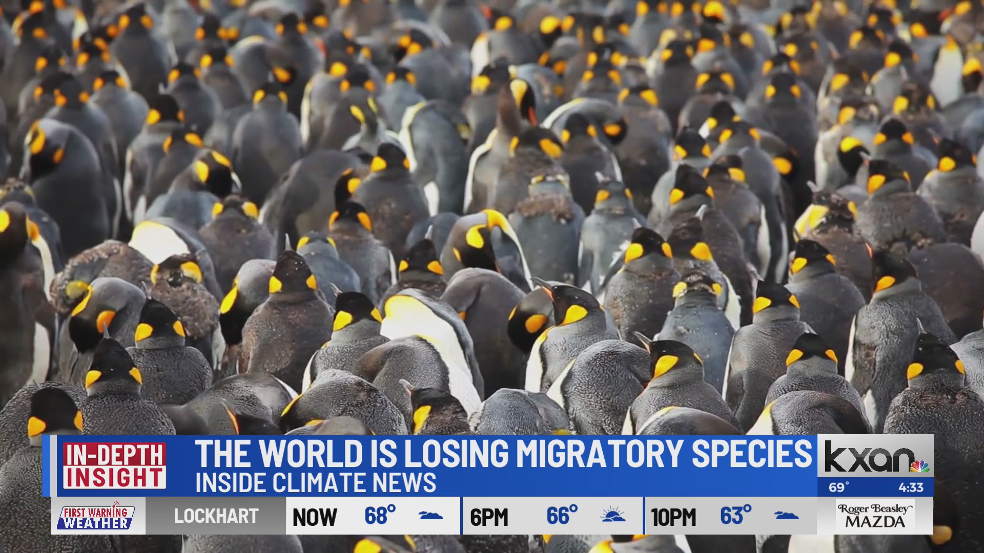 Inside Climate News: The World Is Losing Migratory Species at Alarming ...