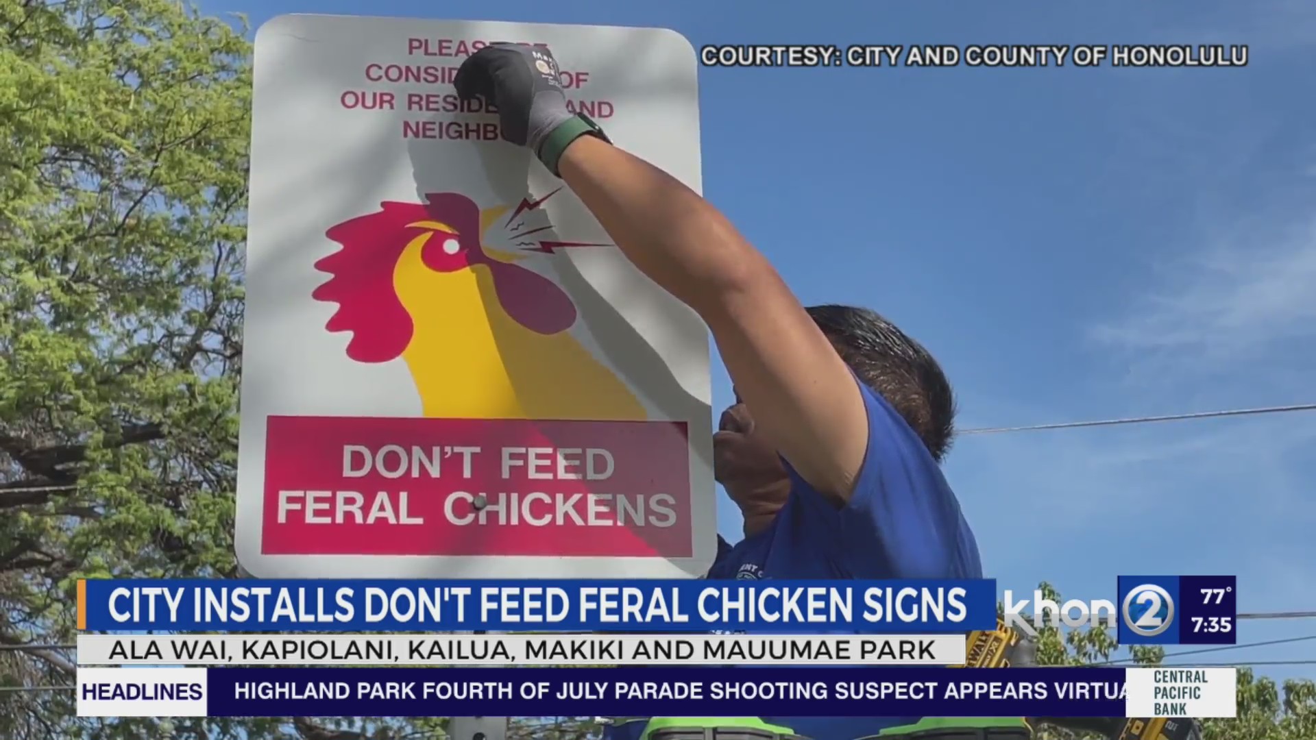 City install signs to discourage public from feeding feral chickens – KHON2