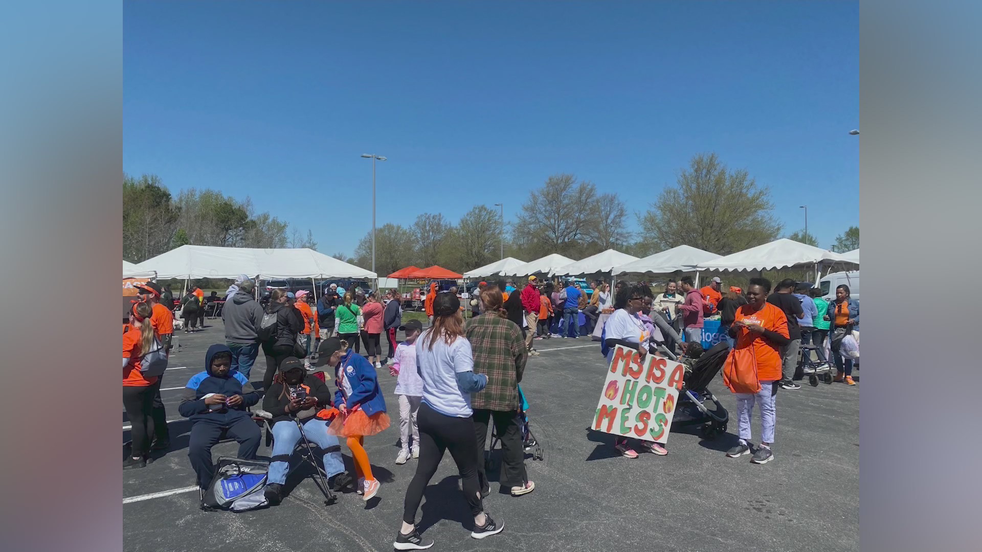 WAVY Warriors join Walk MS in Virginia Beach – WAVY.com