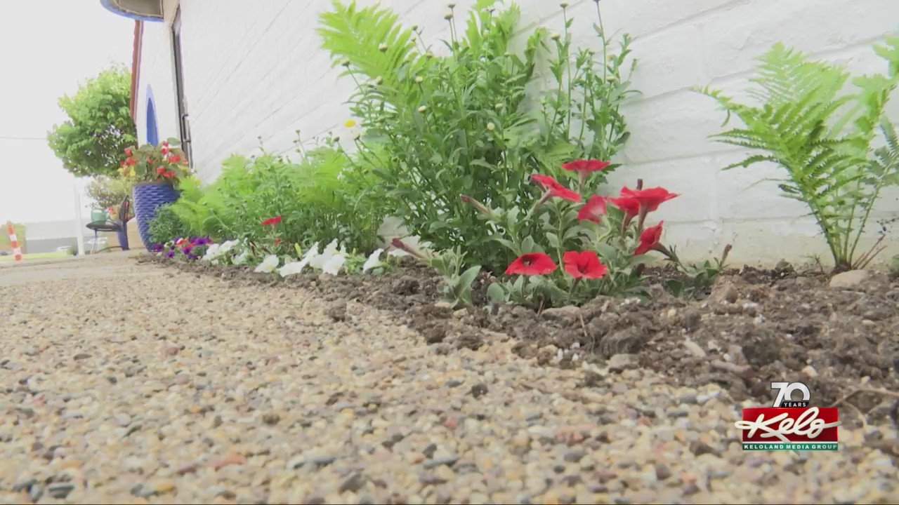 Nick’s Gyros’ colorful tradition stands out on 41st Street – KELOLAND.com