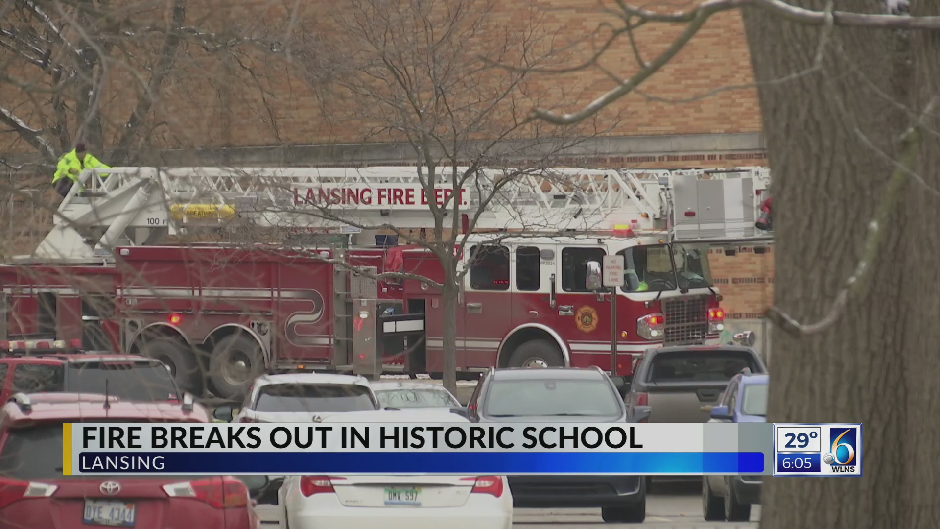 Jackson woman seeks help after cockroach infestation – WLNS 6 News