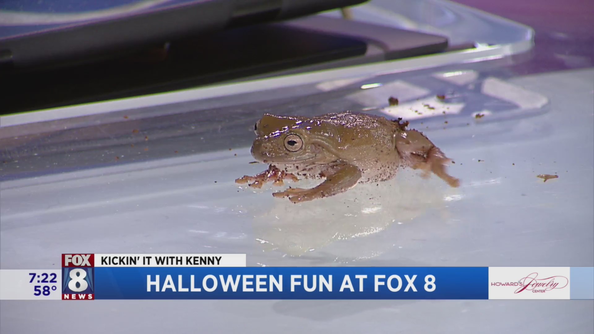 Look what Jungle Terry left on Fox 8 News Desk – Fox 8 Cleveland WJW