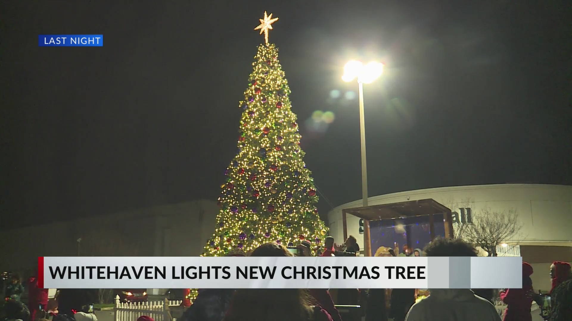 Whitehaven lights new Christmas tree after backlash – WREG.com