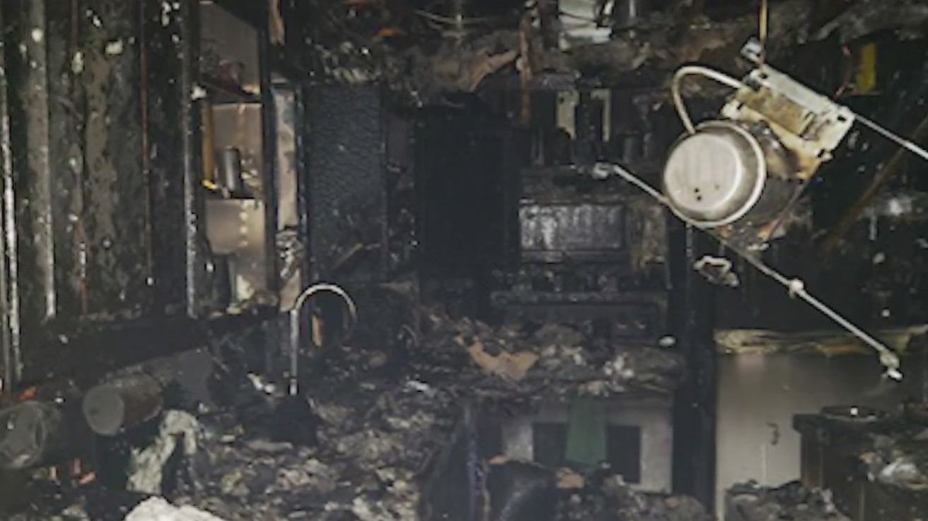 Approximately 30 cats dead after fire at Silverton cat rescue – KOIN.com