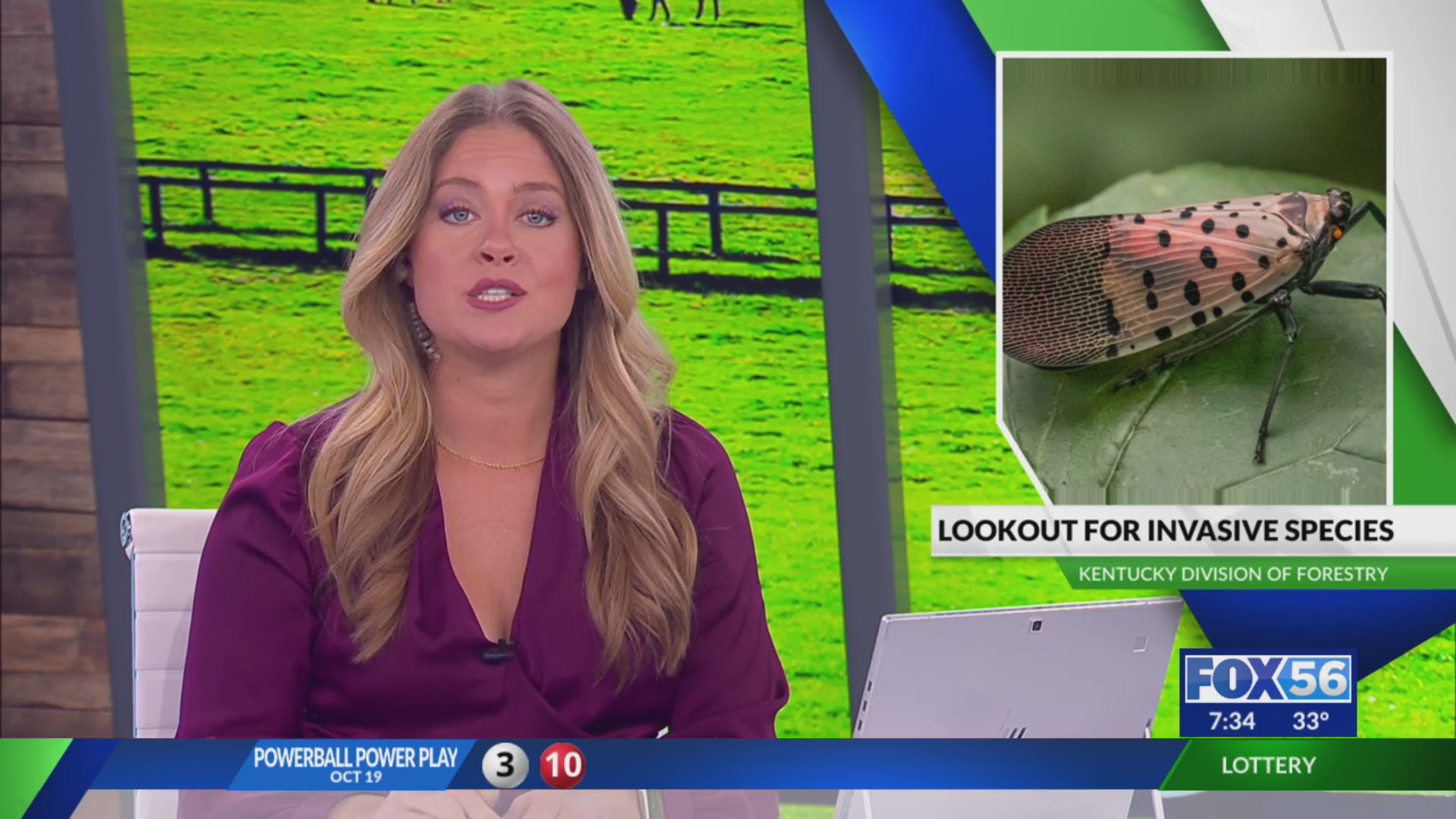 Be on the lookout for this invasive bug – FOX 56 News