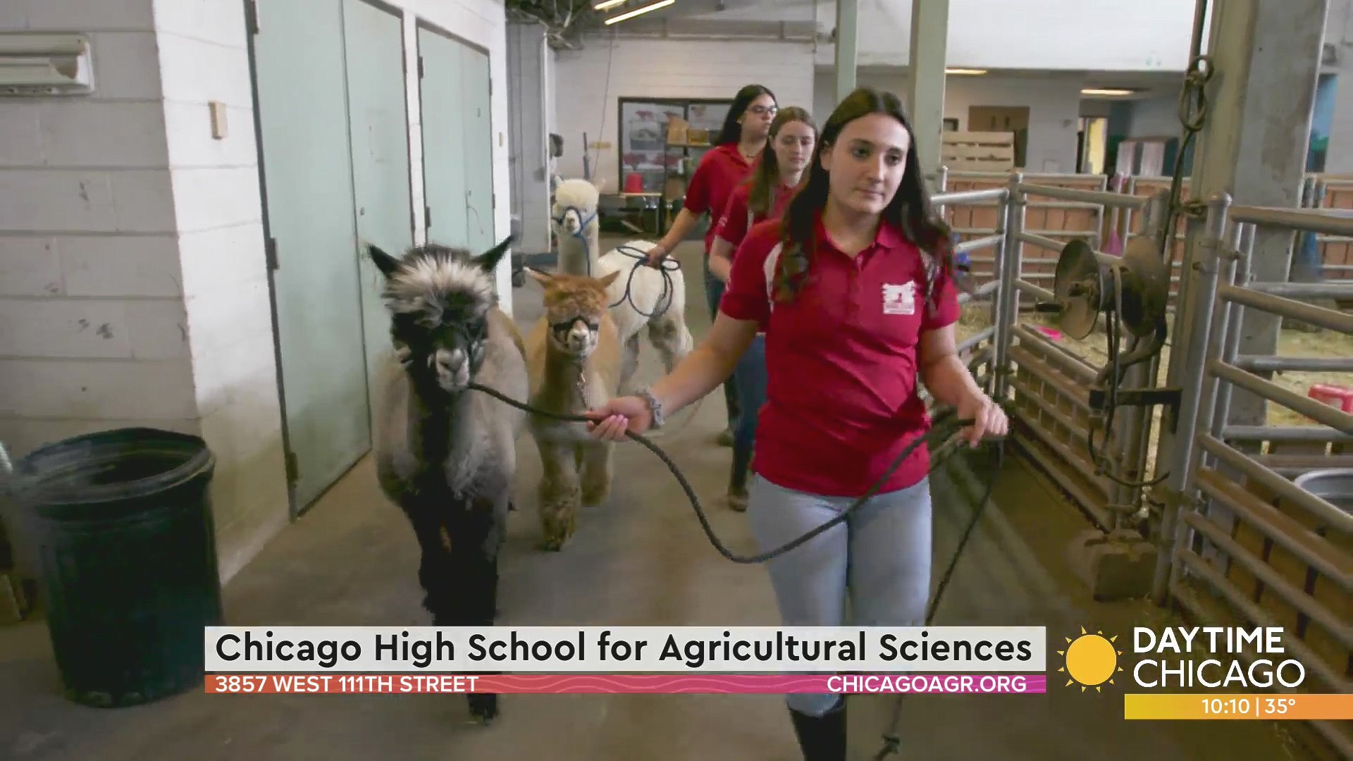 Chicago High School for Agricultural Sciences – WGN-TV