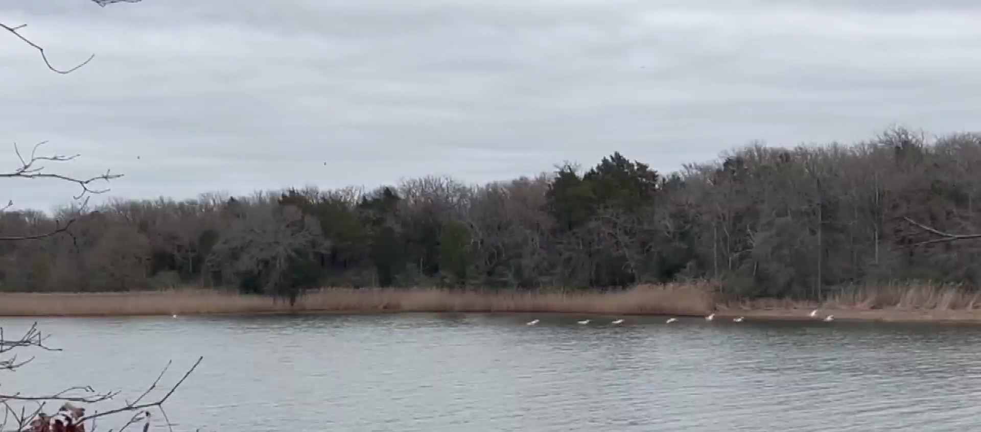 TPWD authorized to ‘take all necessary steps’ to save Texas state park ...