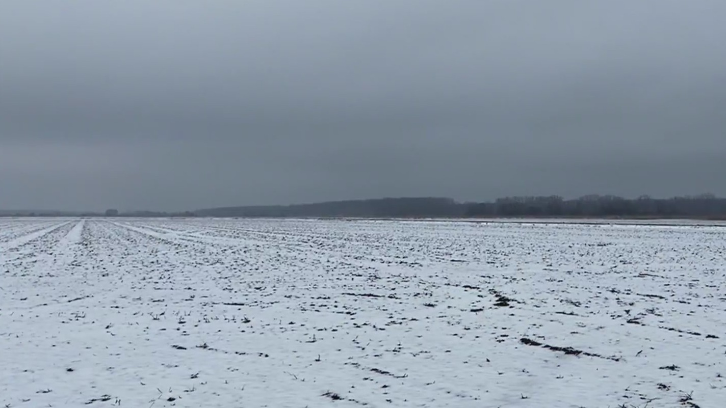 Kucko’s Camera: No geese in the mucklands – RochesterFirst