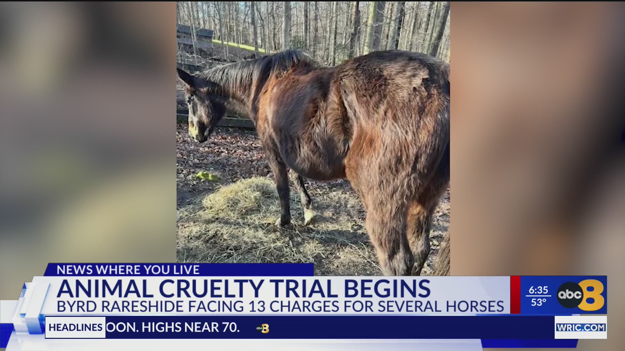Trial begins for Goochland horse retirement farm owner charged with 13 ...