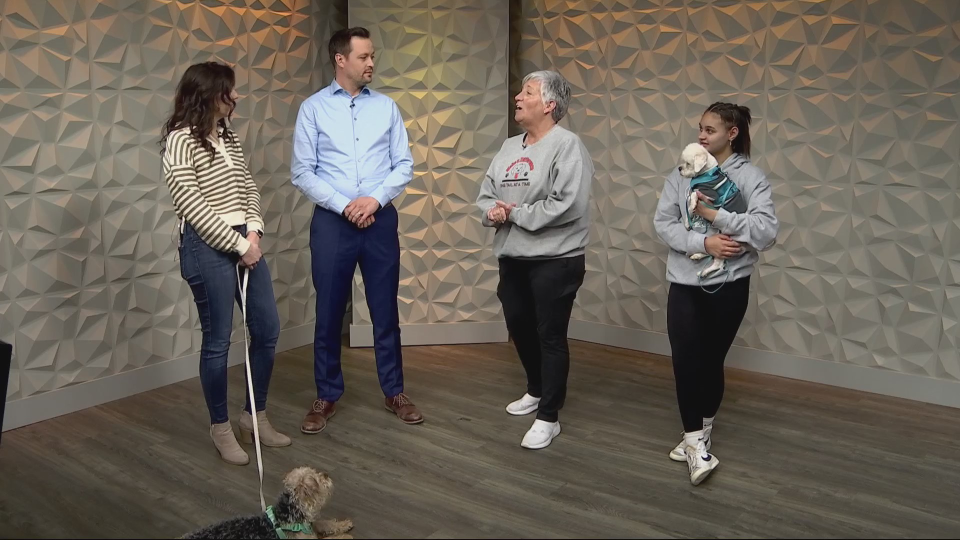 Ruby’s Rescue and Retreat | ciLiving – WCIA.com