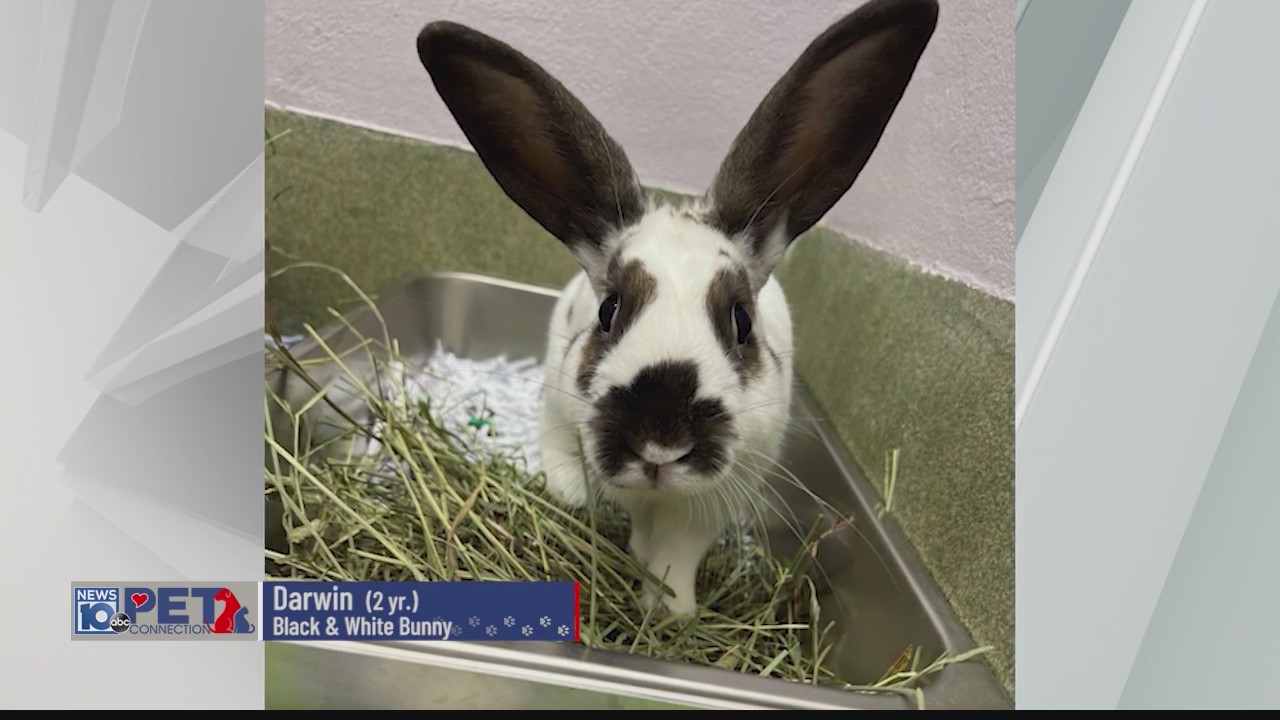 Darwin – NEWS10 ABC