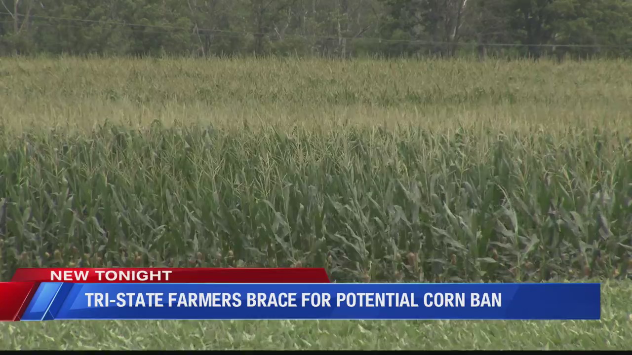 Tri-State farmers brace for potential Mexico GMO corn ban – Eyewitness ...