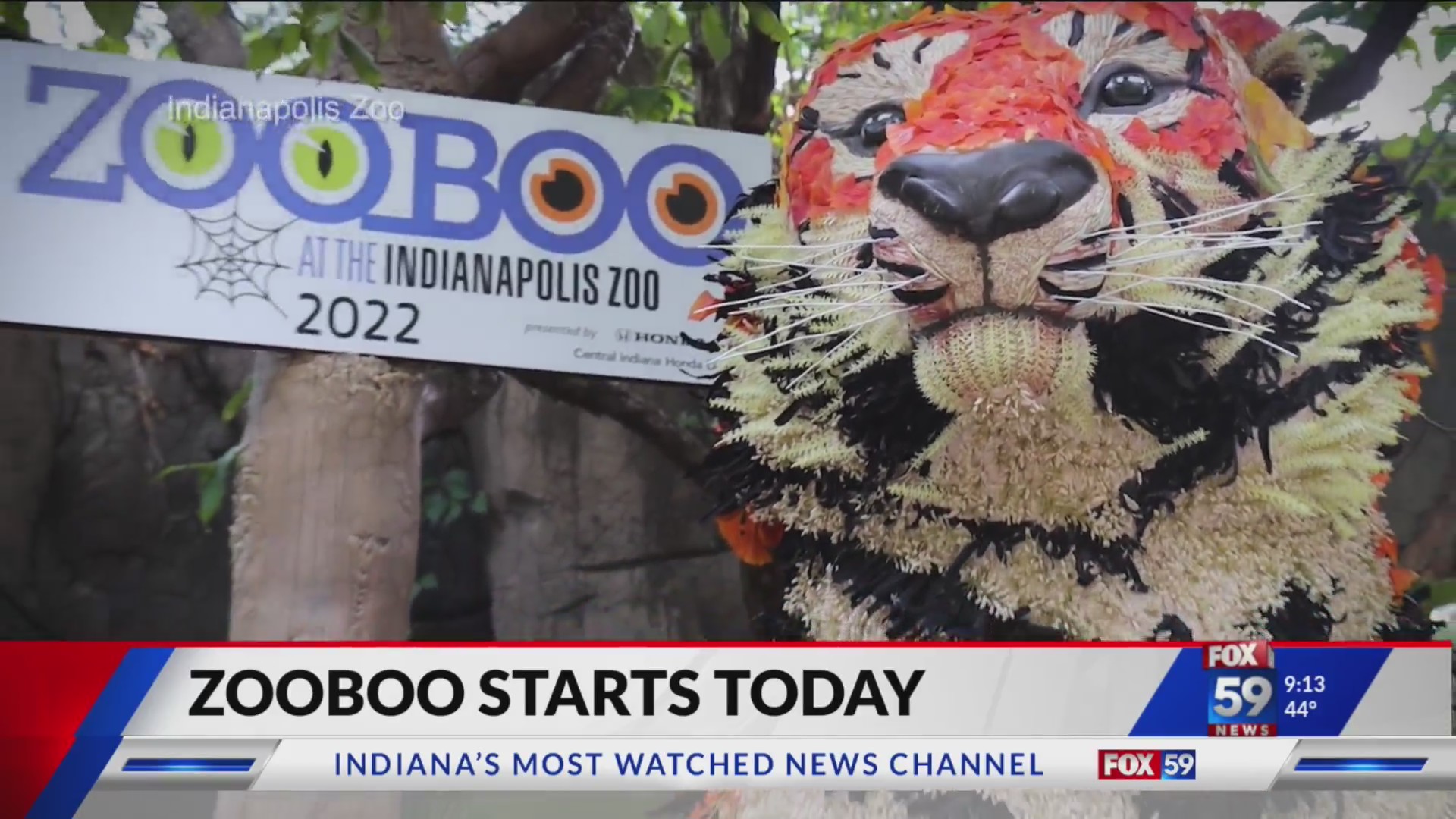 ZooBoo Starts Today! – Fox 59