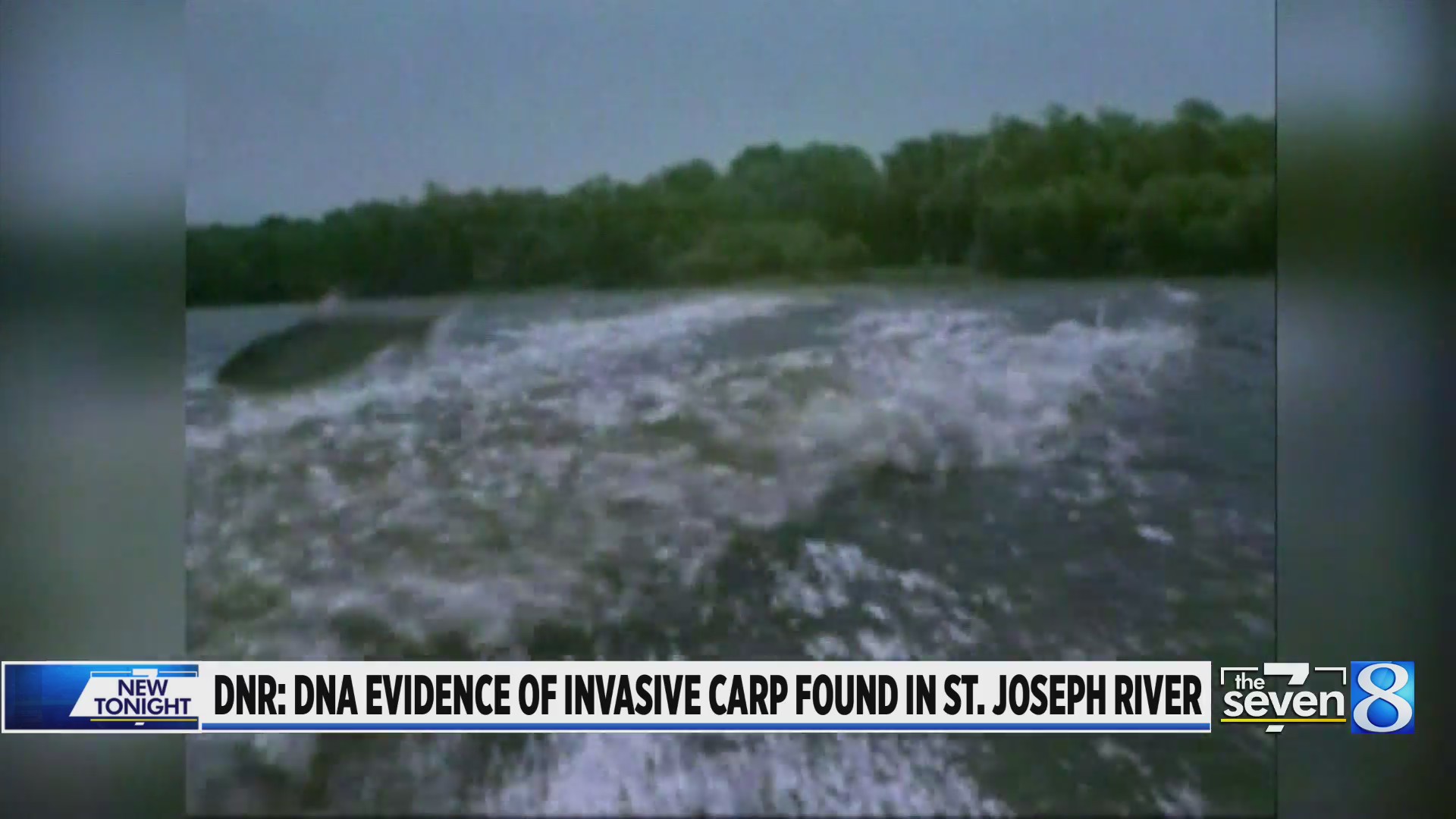 DNR: Invasive carp DNA found in Michigan river – WOODTV.com