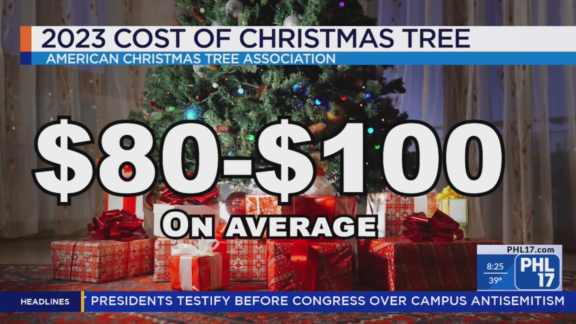 Navigating the Rising Costs of Christmas Trees: Budget-Friendly Tips ...