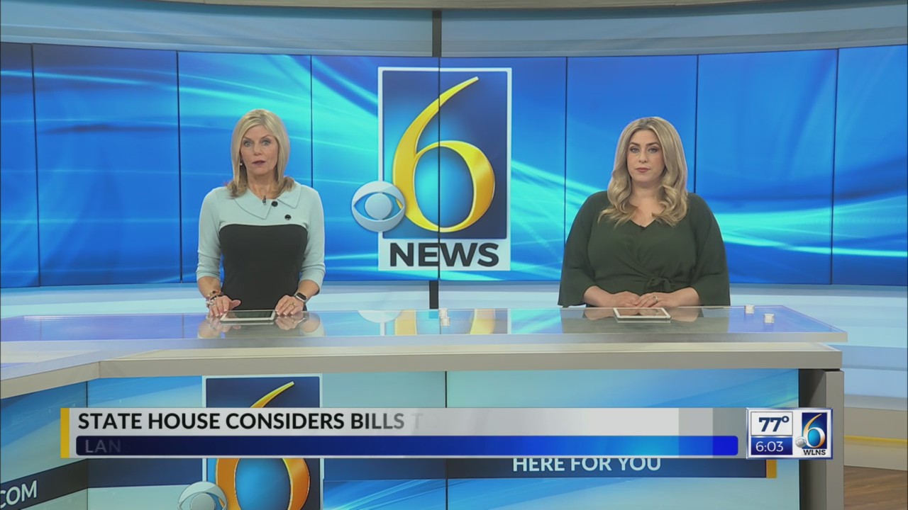 Proposed legislation would change Michigan child marriage laws – WLNS 6 News