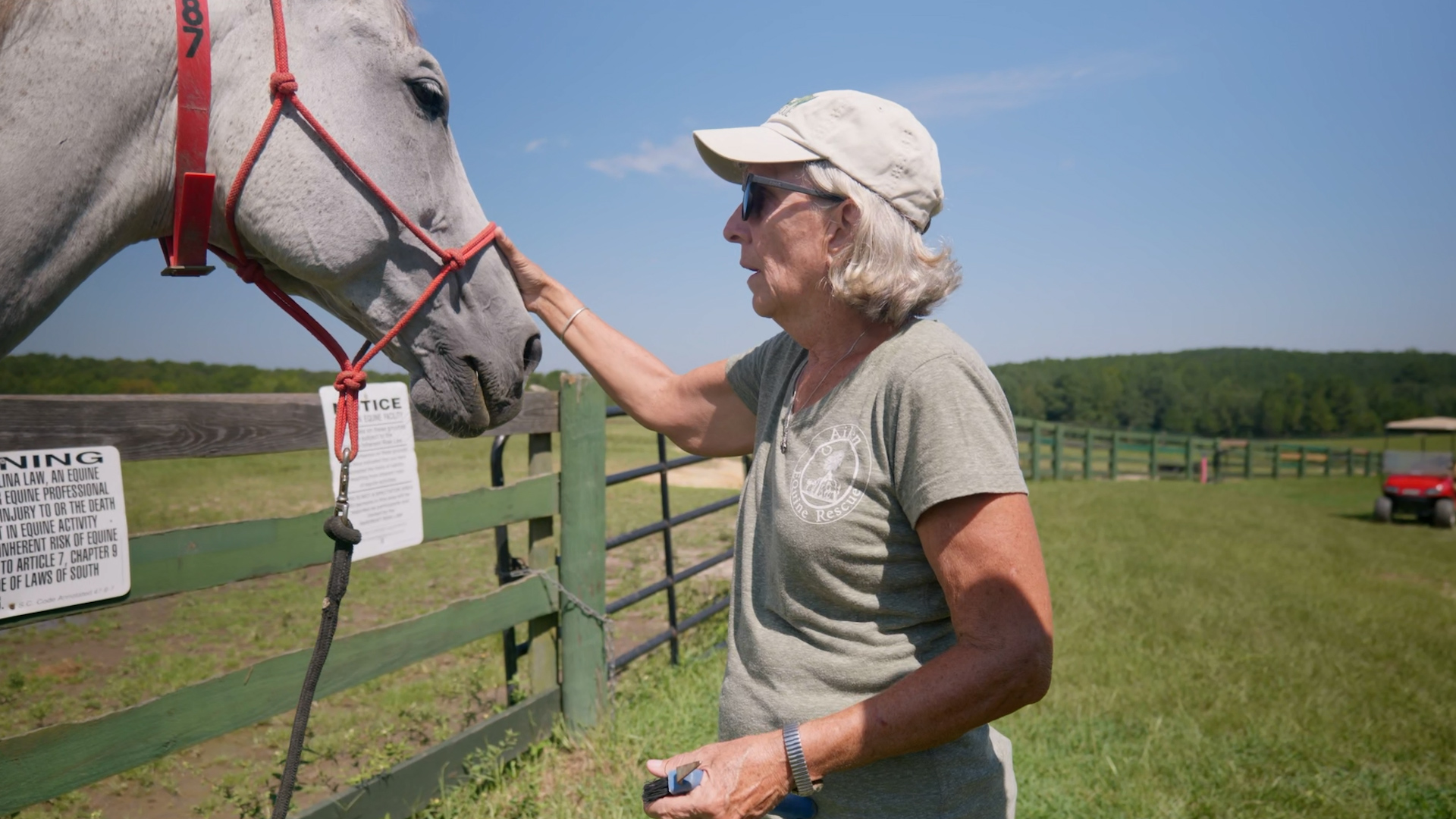 Equine Rescue of Aiken talks about how the community has helped, and ...