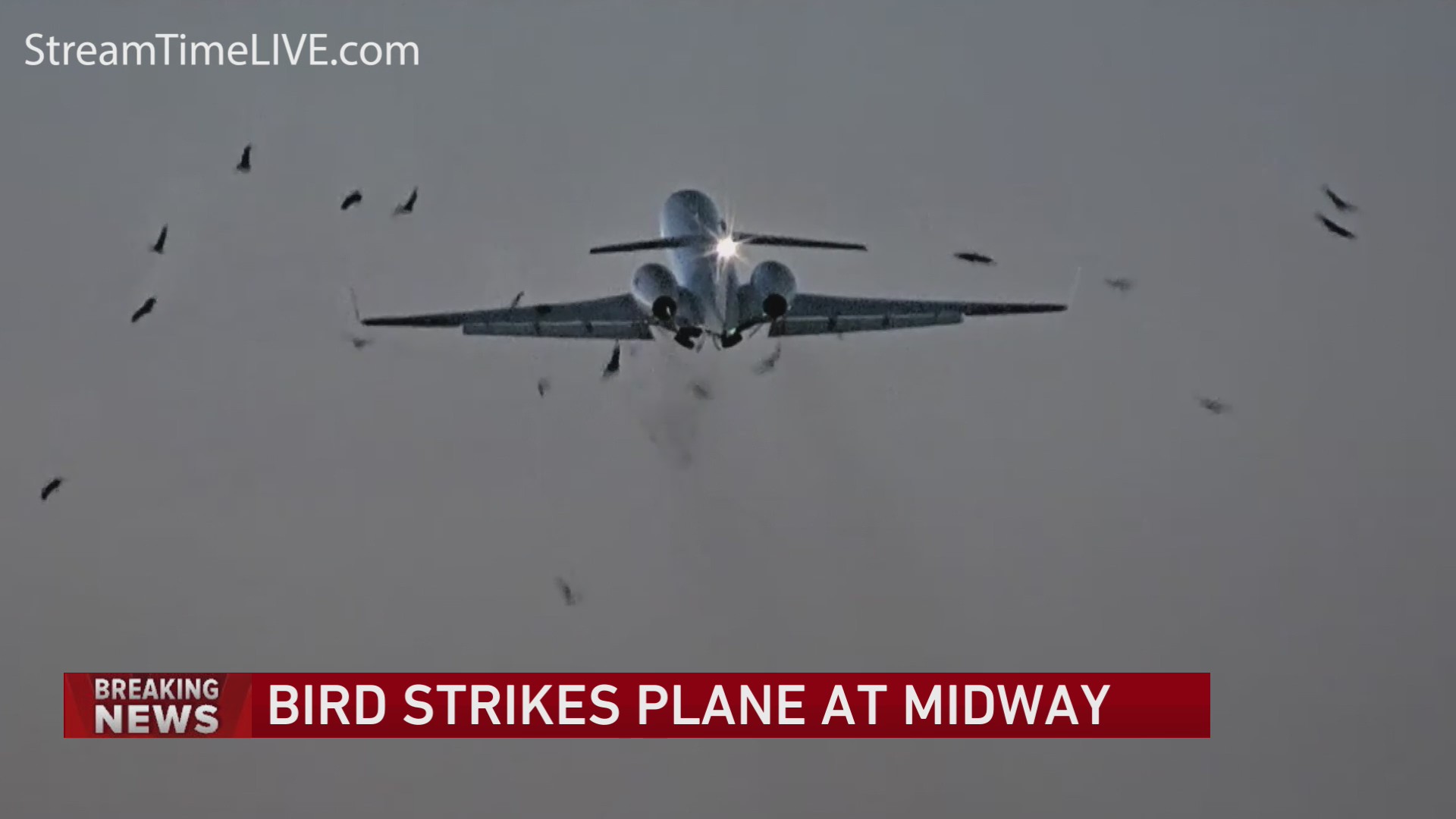 Military plane forced to return to Midway Airport after hitting bird ...