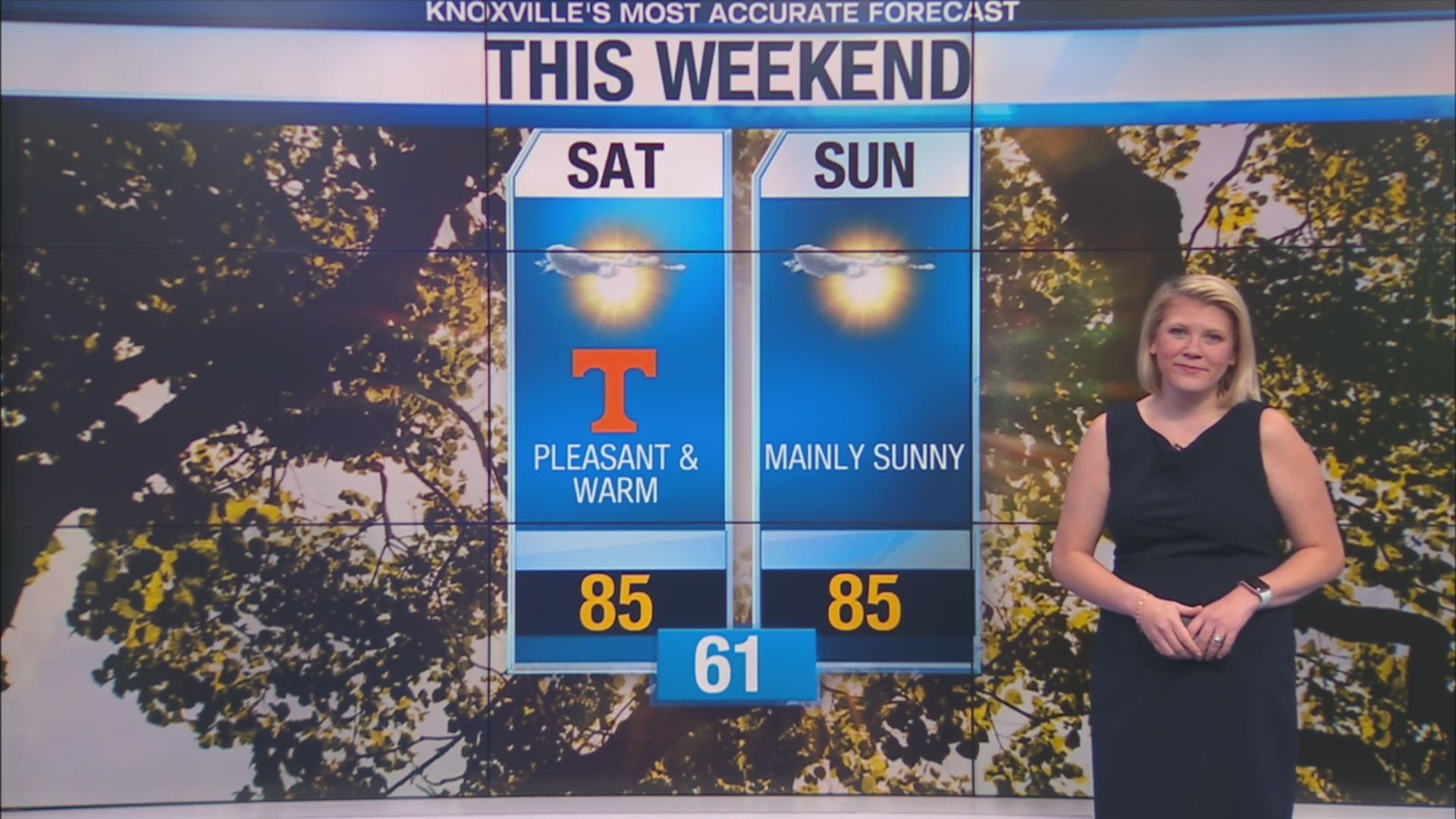 Weekend Forecast: Weather looks dry, quiet & mild – WATE 6 On Your Side