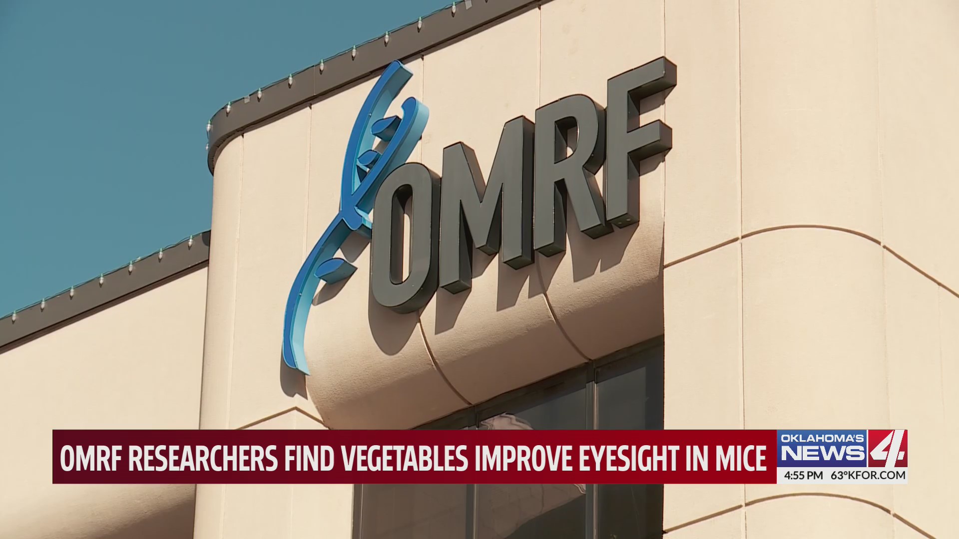 OMRF researchers find vegetables improve eyesight in mice – KFOR.com ...